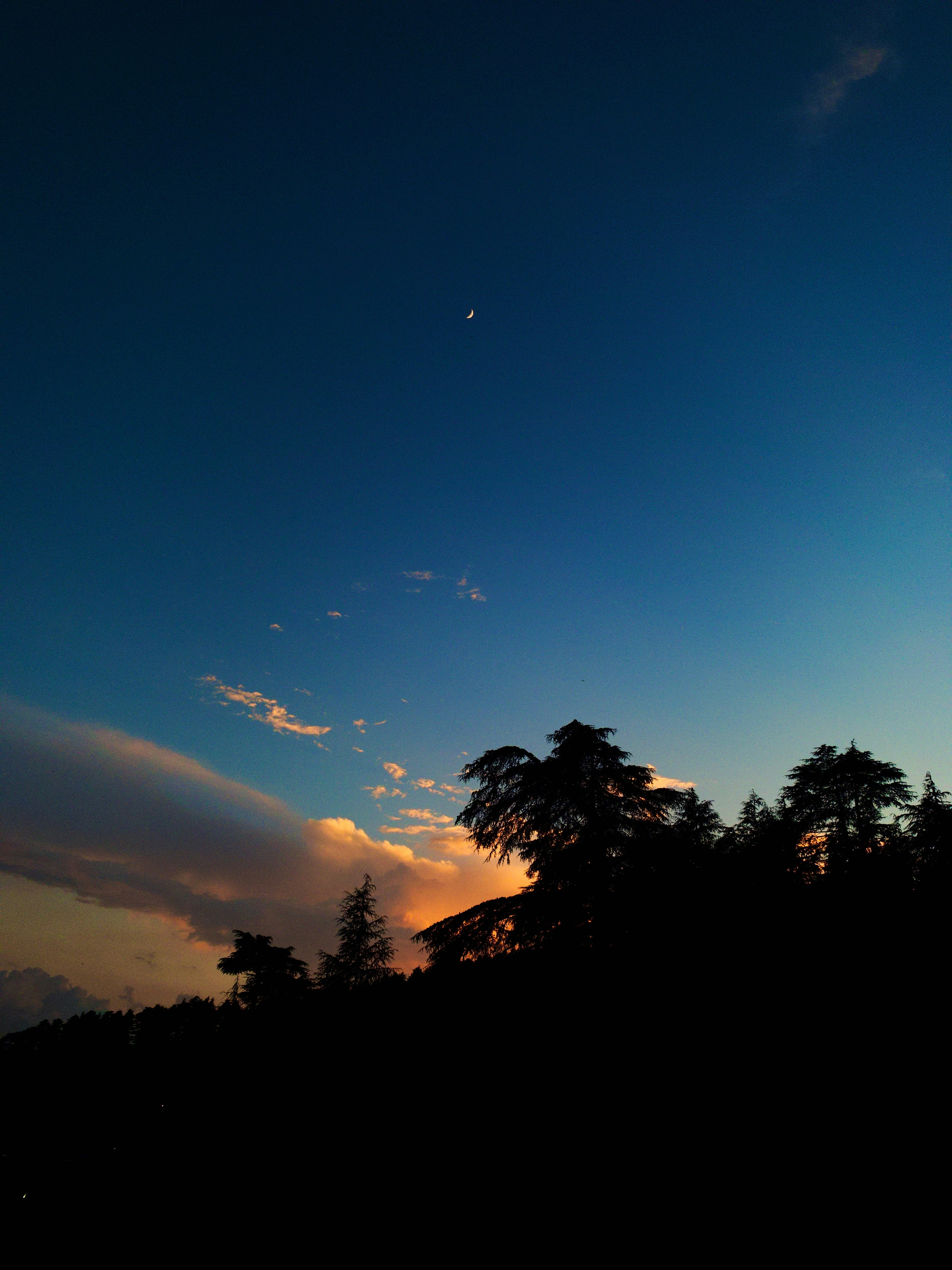 Silhouetted trees against a gradient sky transitioning from twilight to night, featuring a crescent moon above. 