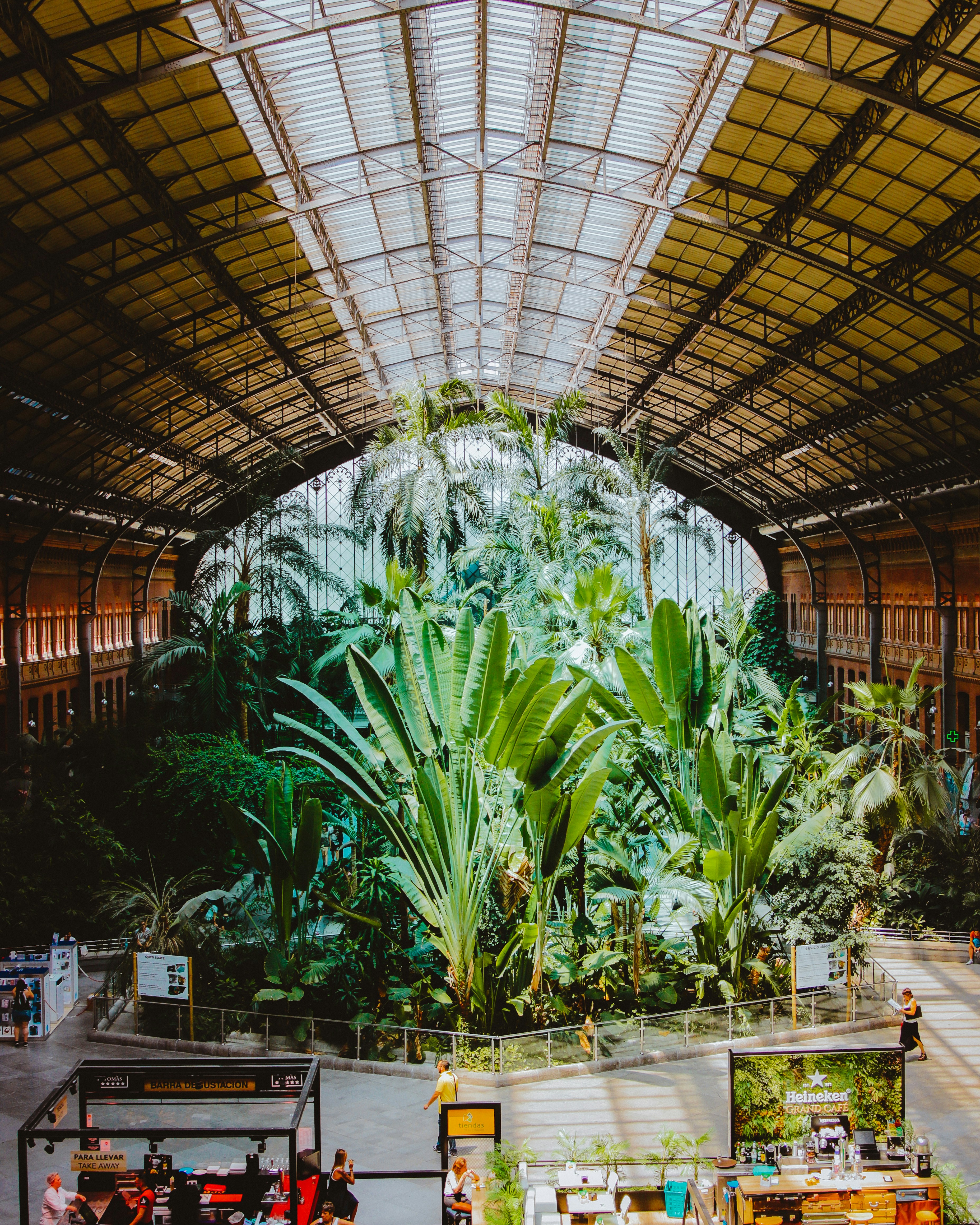 Tropical Oasis Beneath Glass: A Cathedral of Leaves