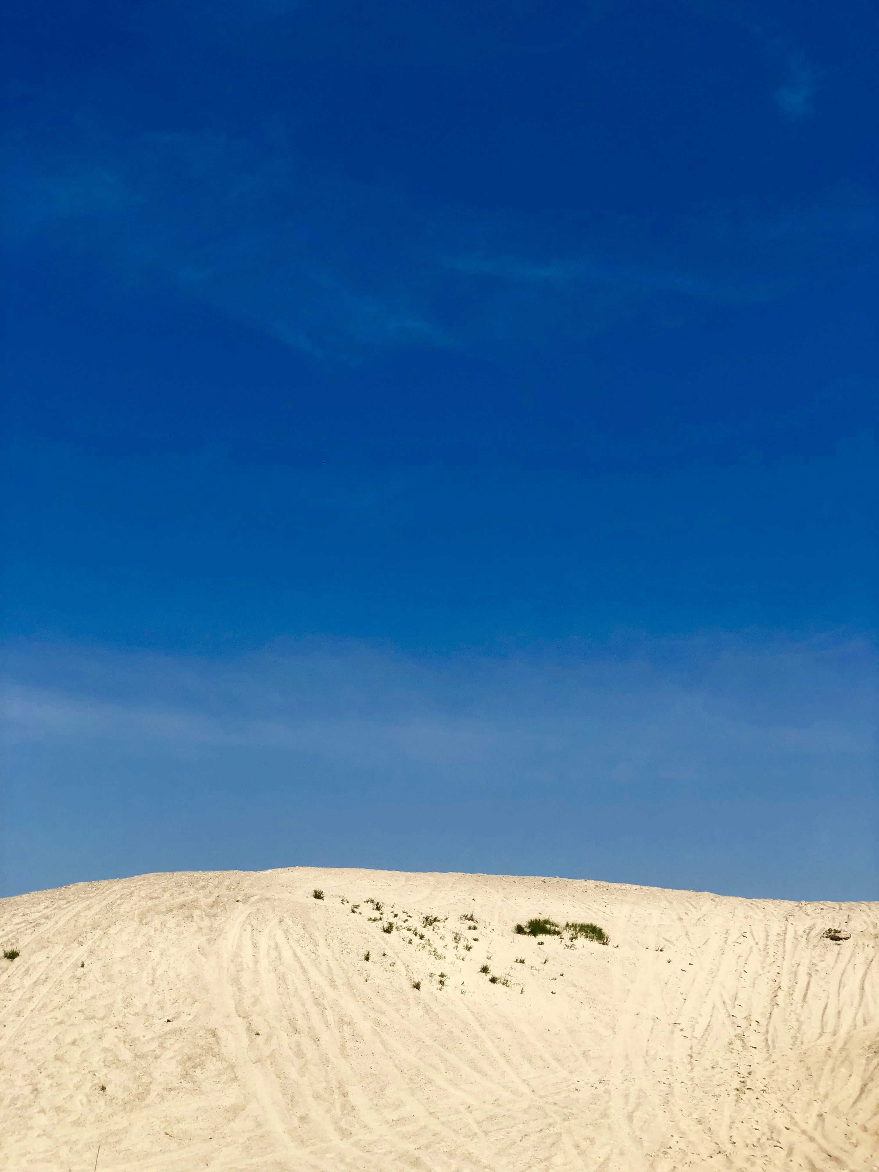 Gimkit - live learning game show