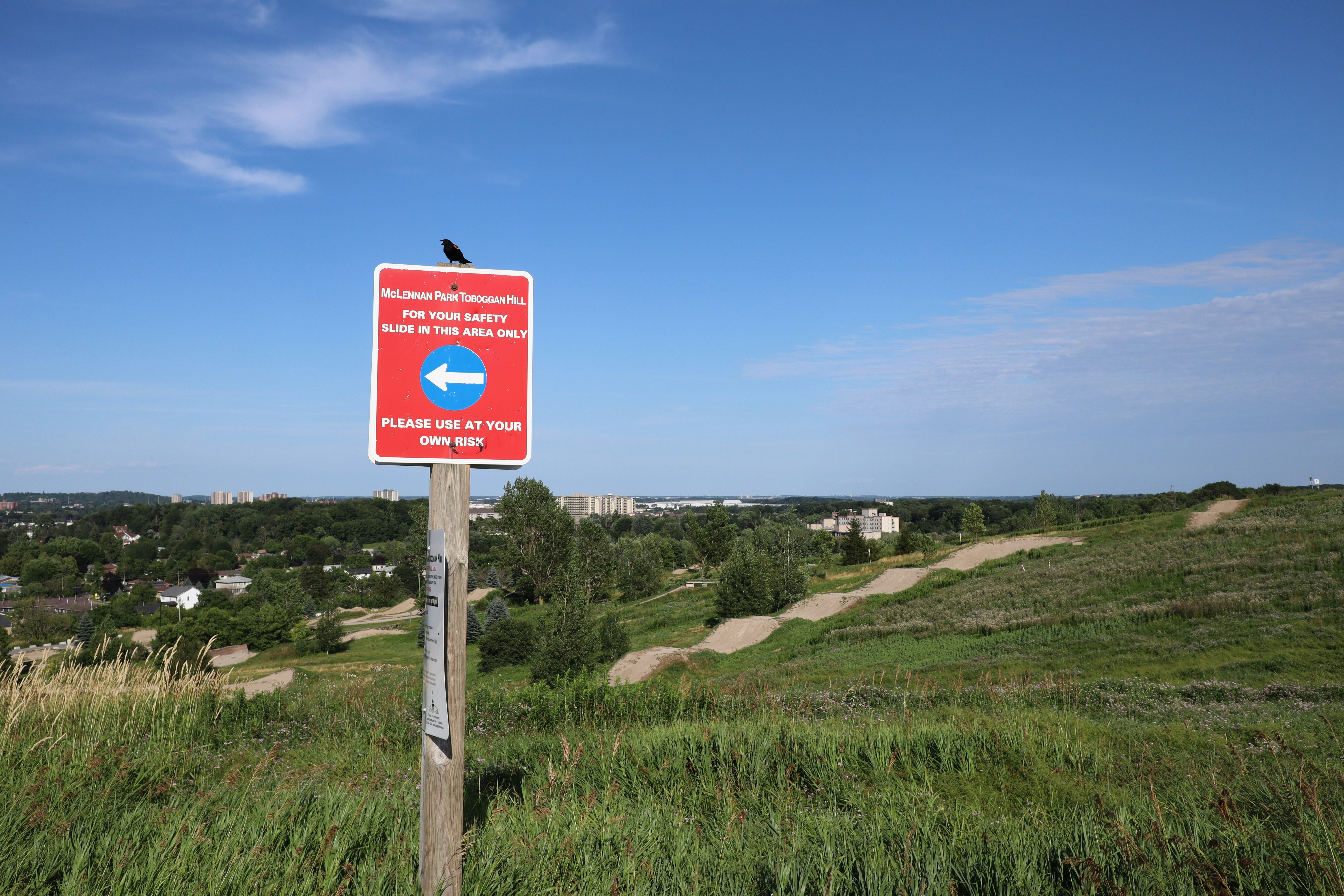 Red Sign in a Green Hill: A Quiet Coastal Borough View