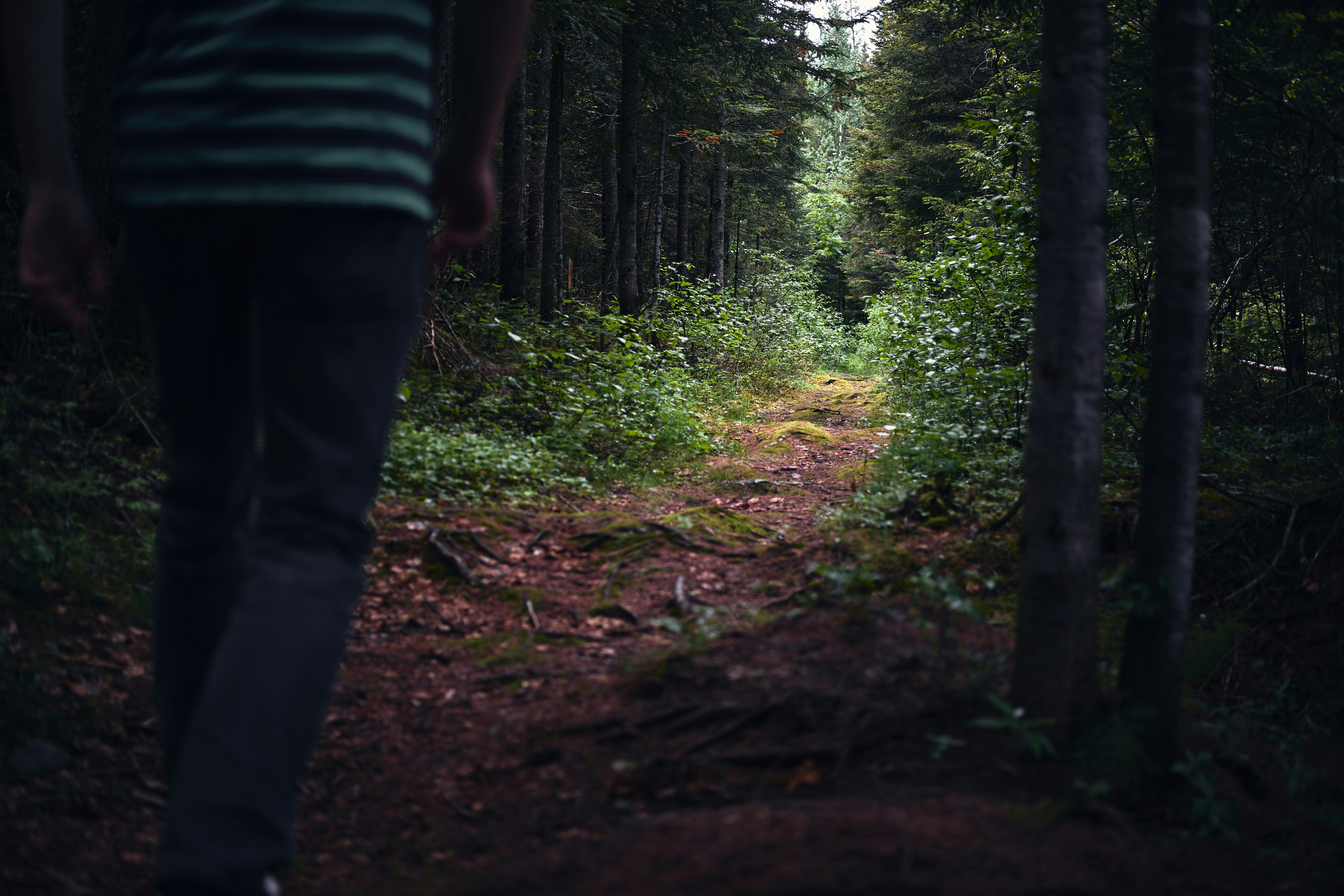 Ludovic Migneault (@dargonesti) | Unsplash Photo Community