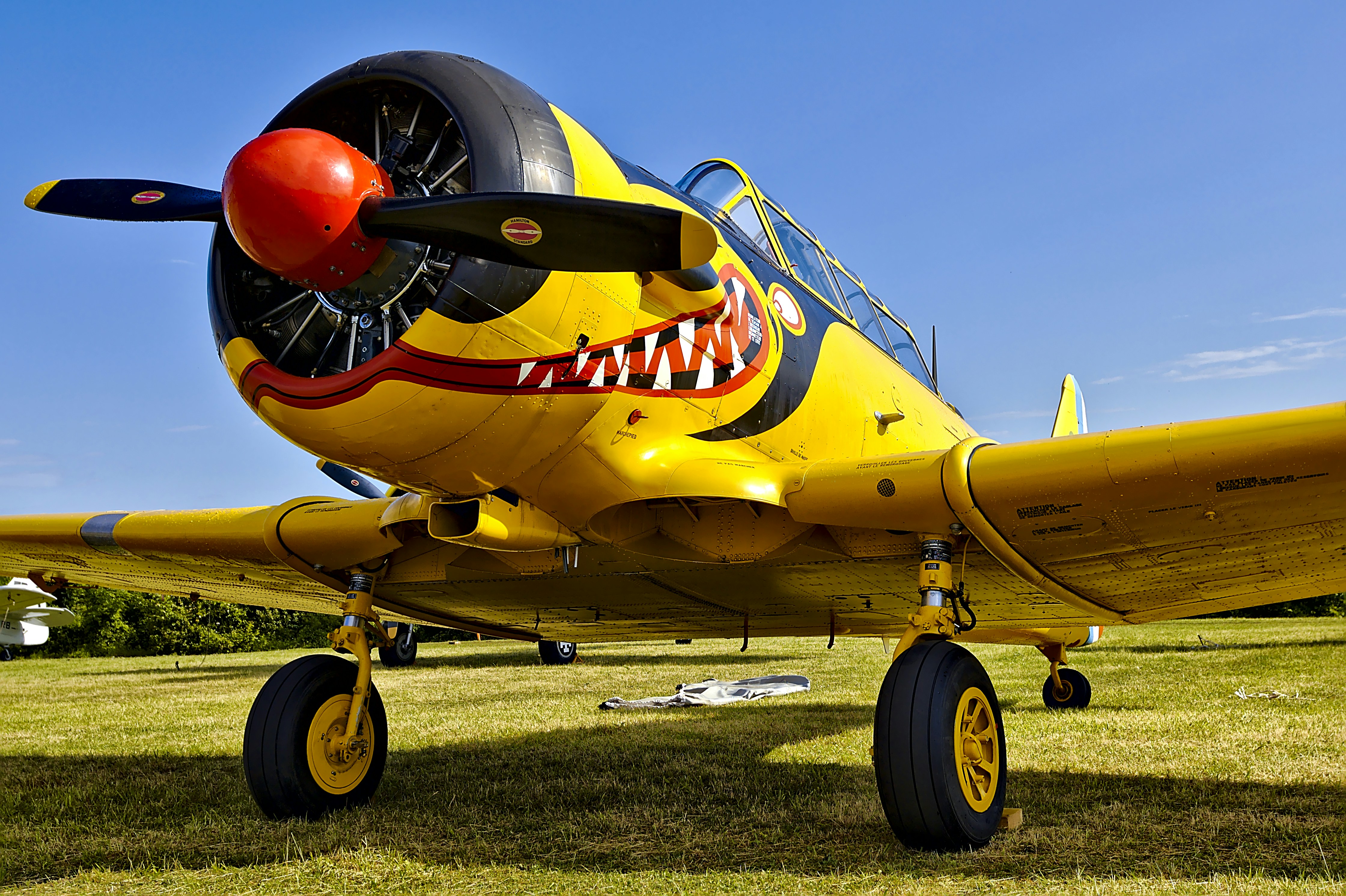Yellow and black biplane on green grass photo – Free France Image on ...