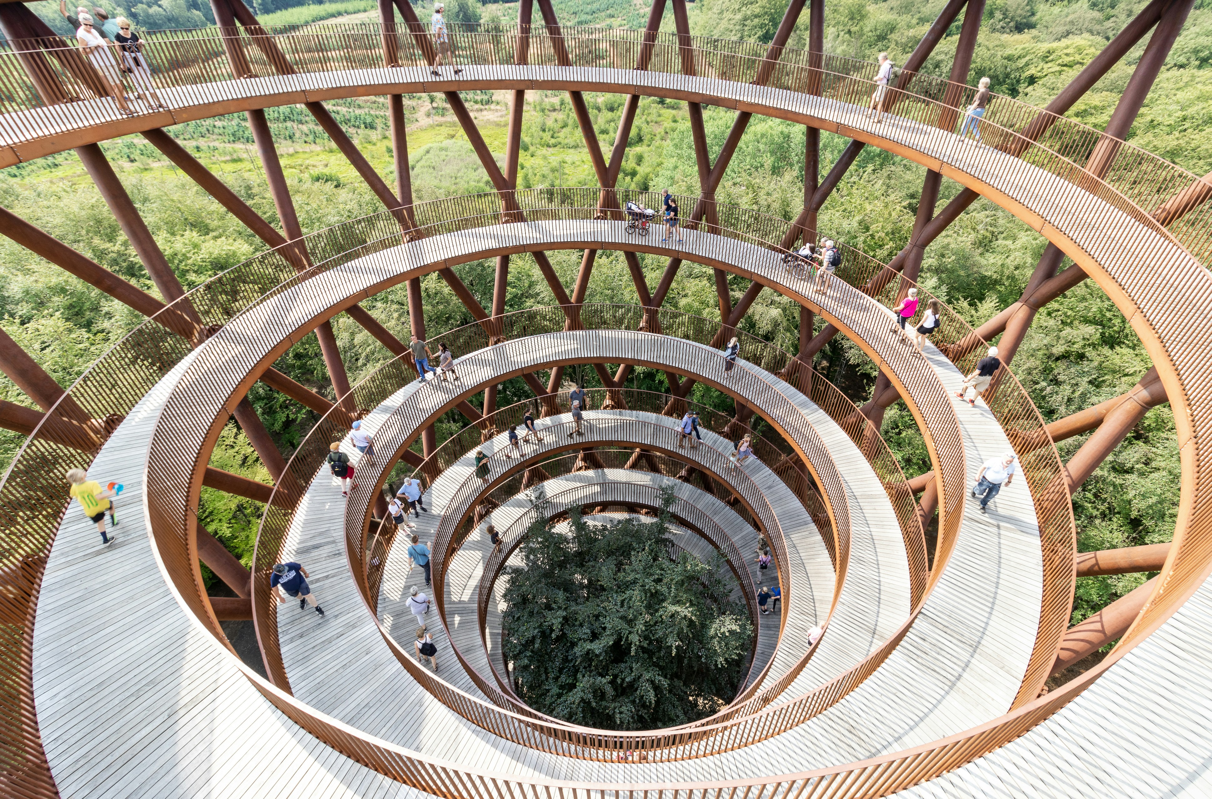 Spiral Walkway in the Forest Canopy
