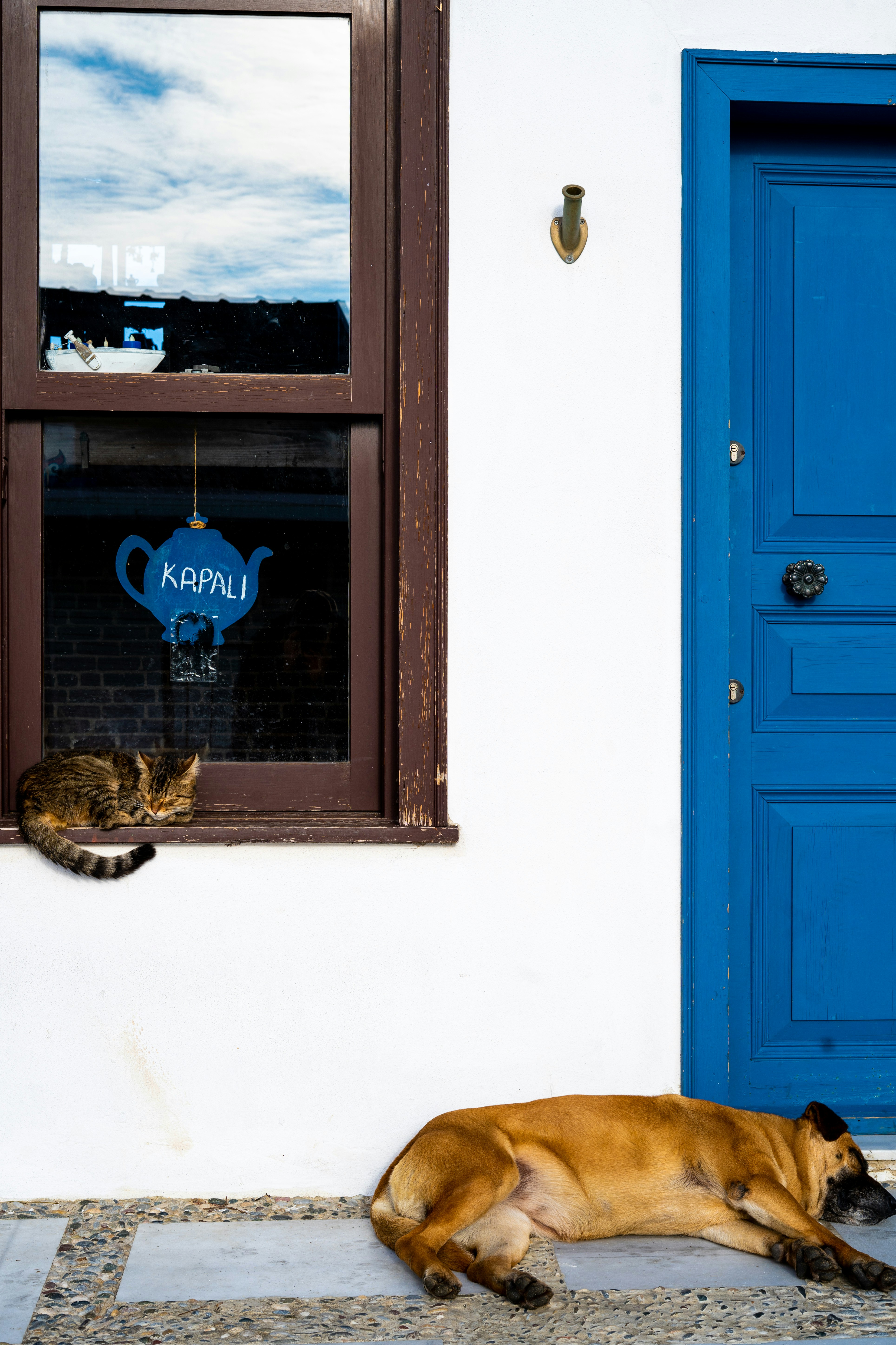 Blue Door, Sleeping Cat, and a Quiet Wall
