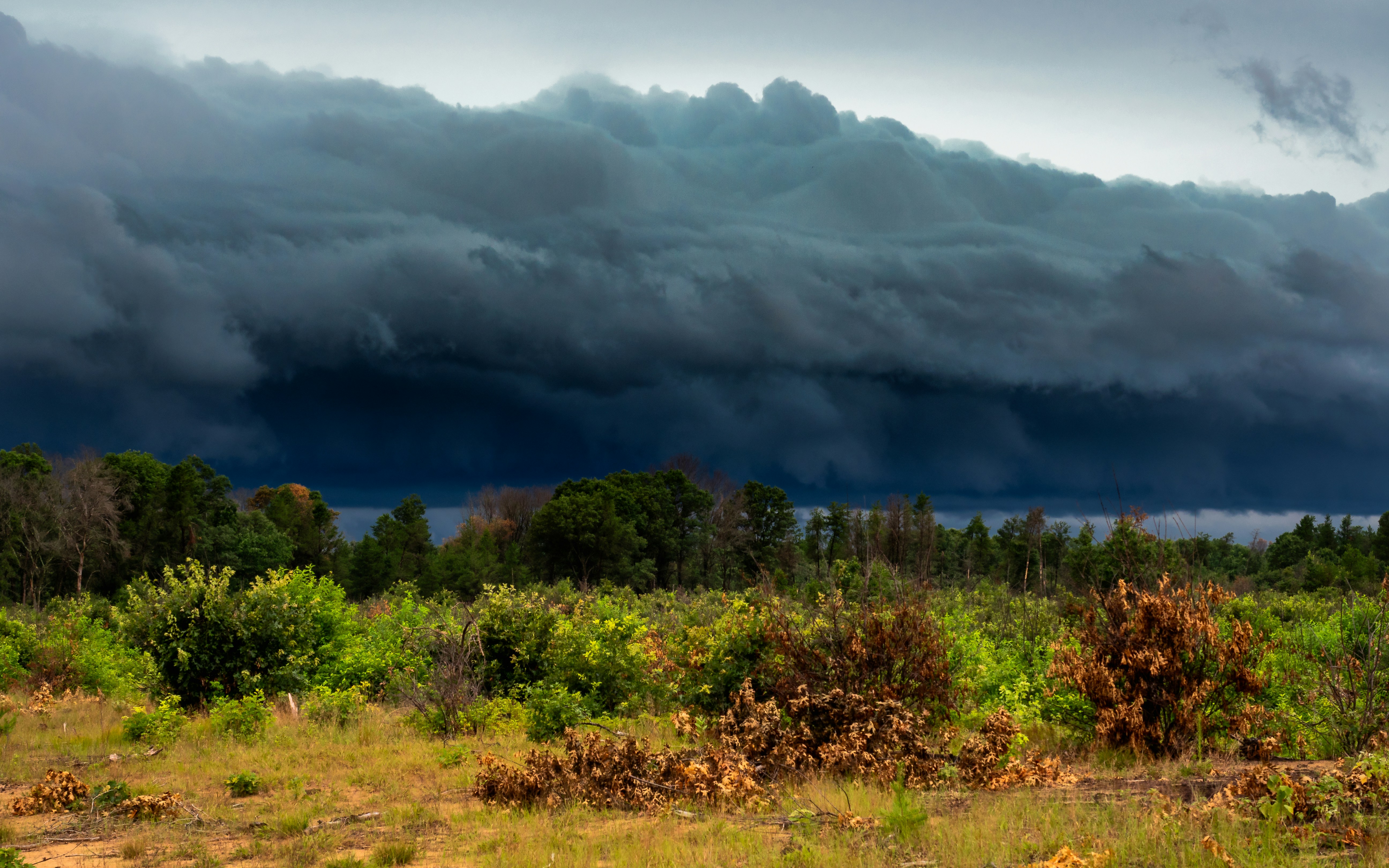Dark storm clouds loom ominously over a lush landscape, contrasting with patches of green vegetation and dry earth. The scene captures the tension of impending weather.