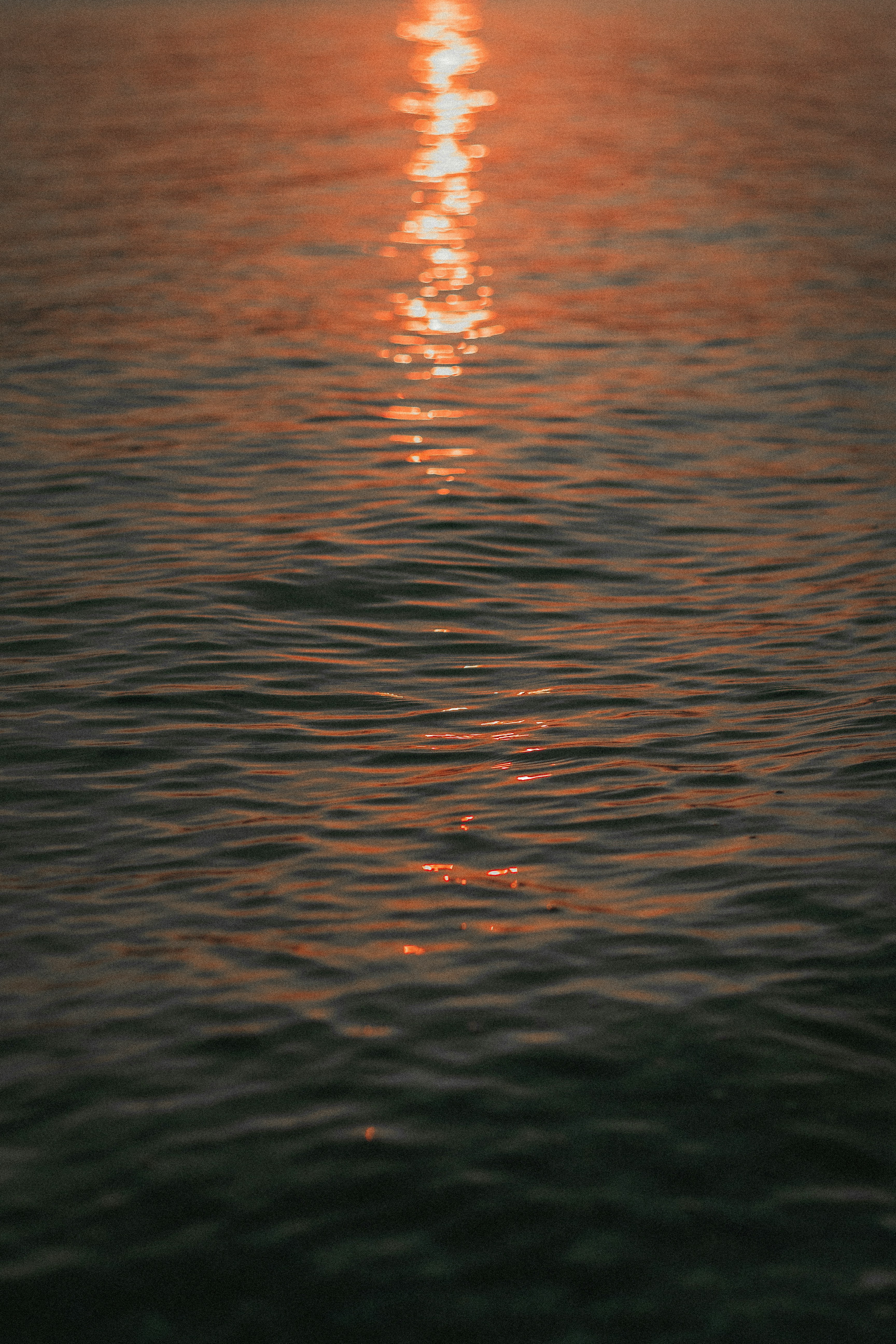 Water Sunset Pictures | Download Free Images on Unsplash