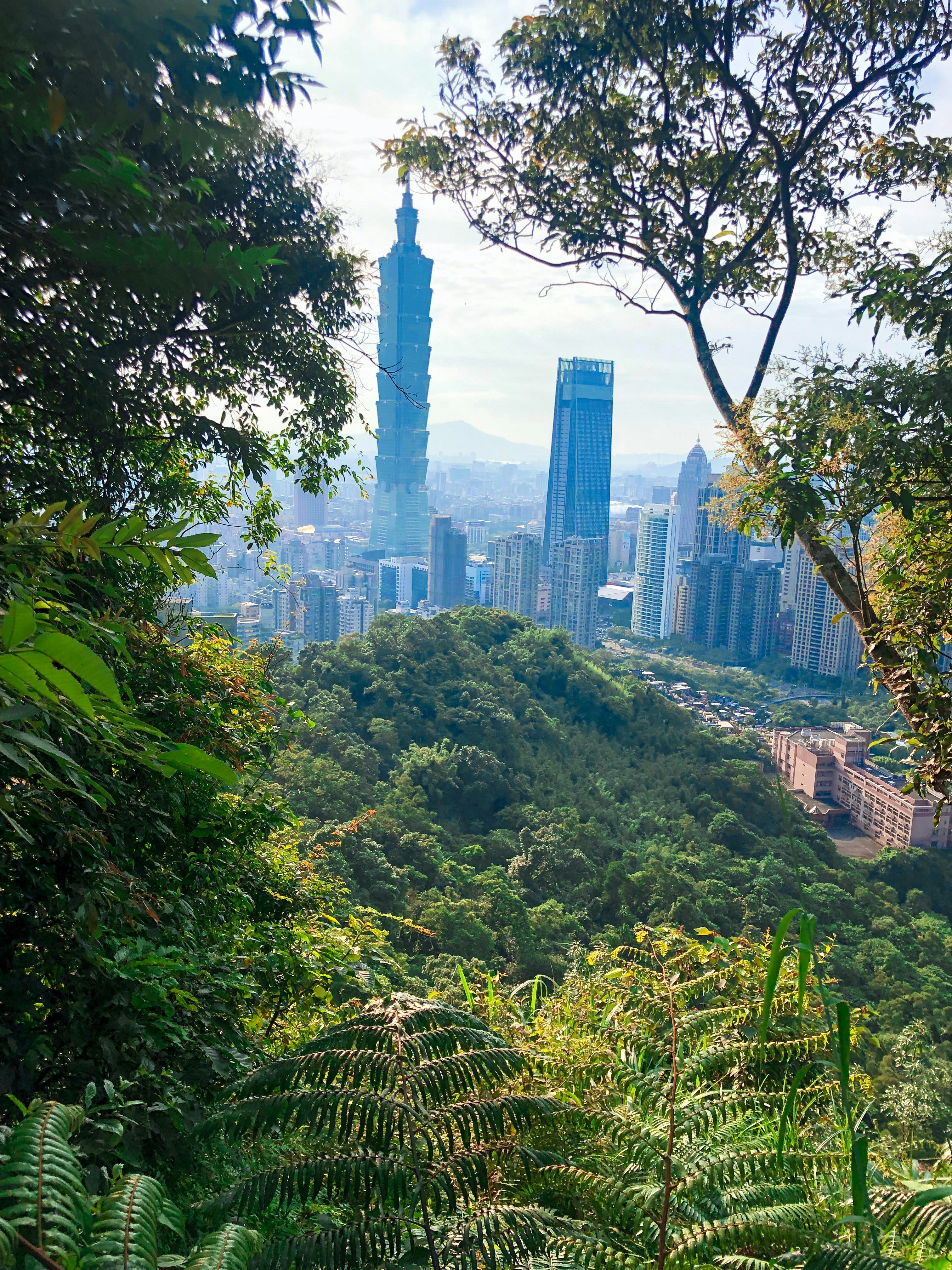 Lush greenery frames the towering Taipei 101 amidst a sprawling cityscape, showcasing the harmony between nature and urban architecture.