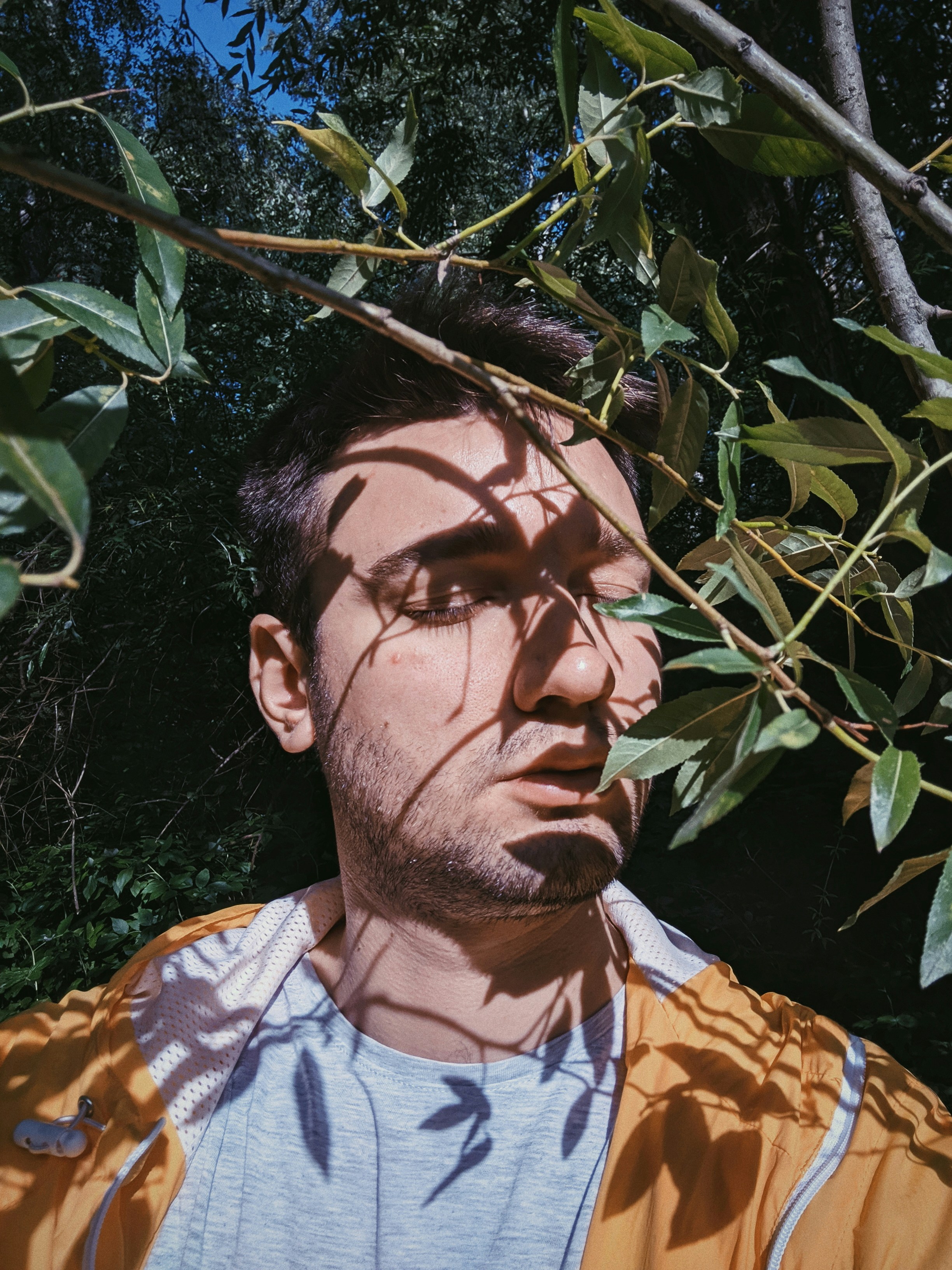Dappled Portrait: Face in a Veil of Leaves and Light
