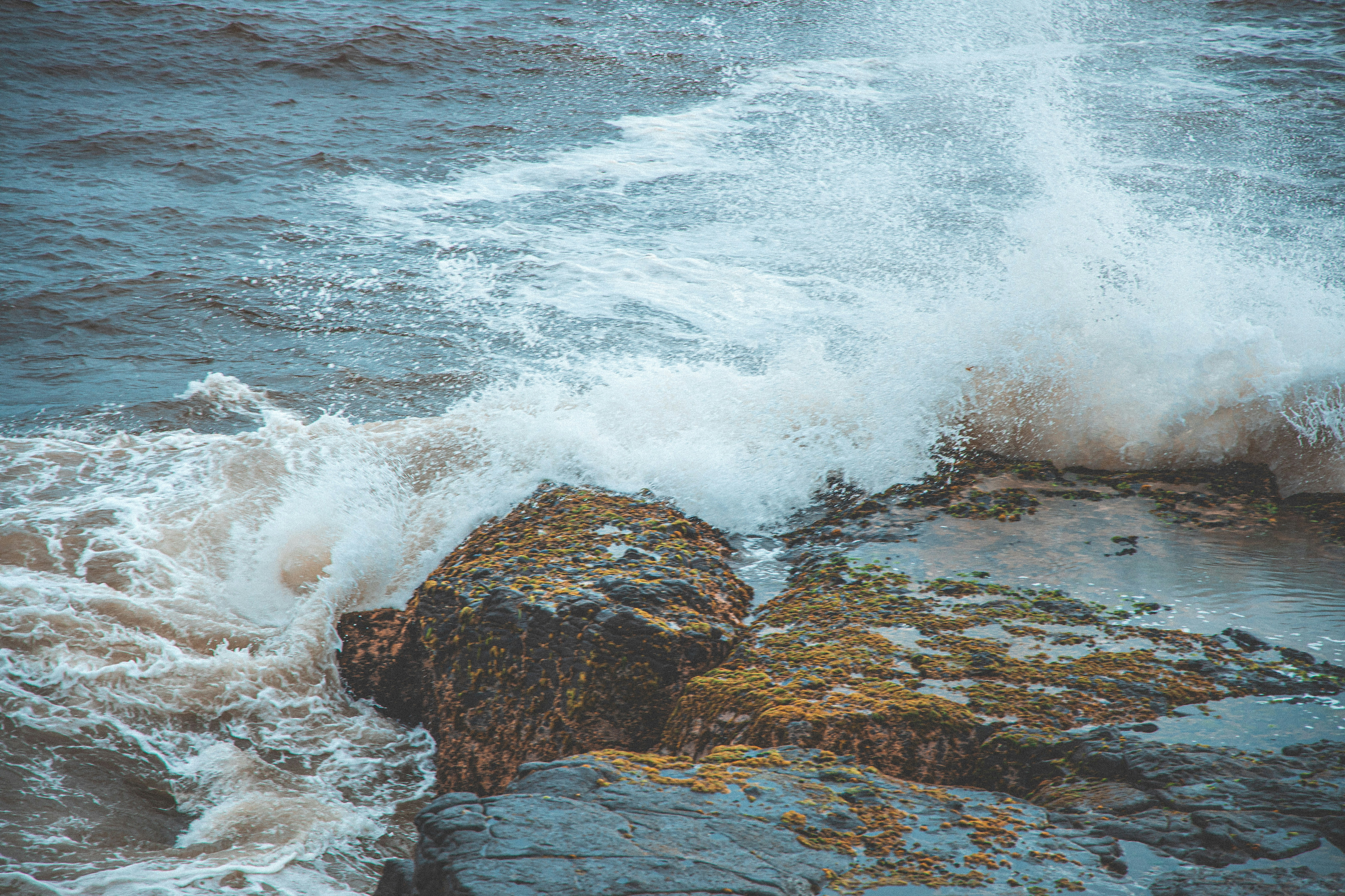 rocks on shore