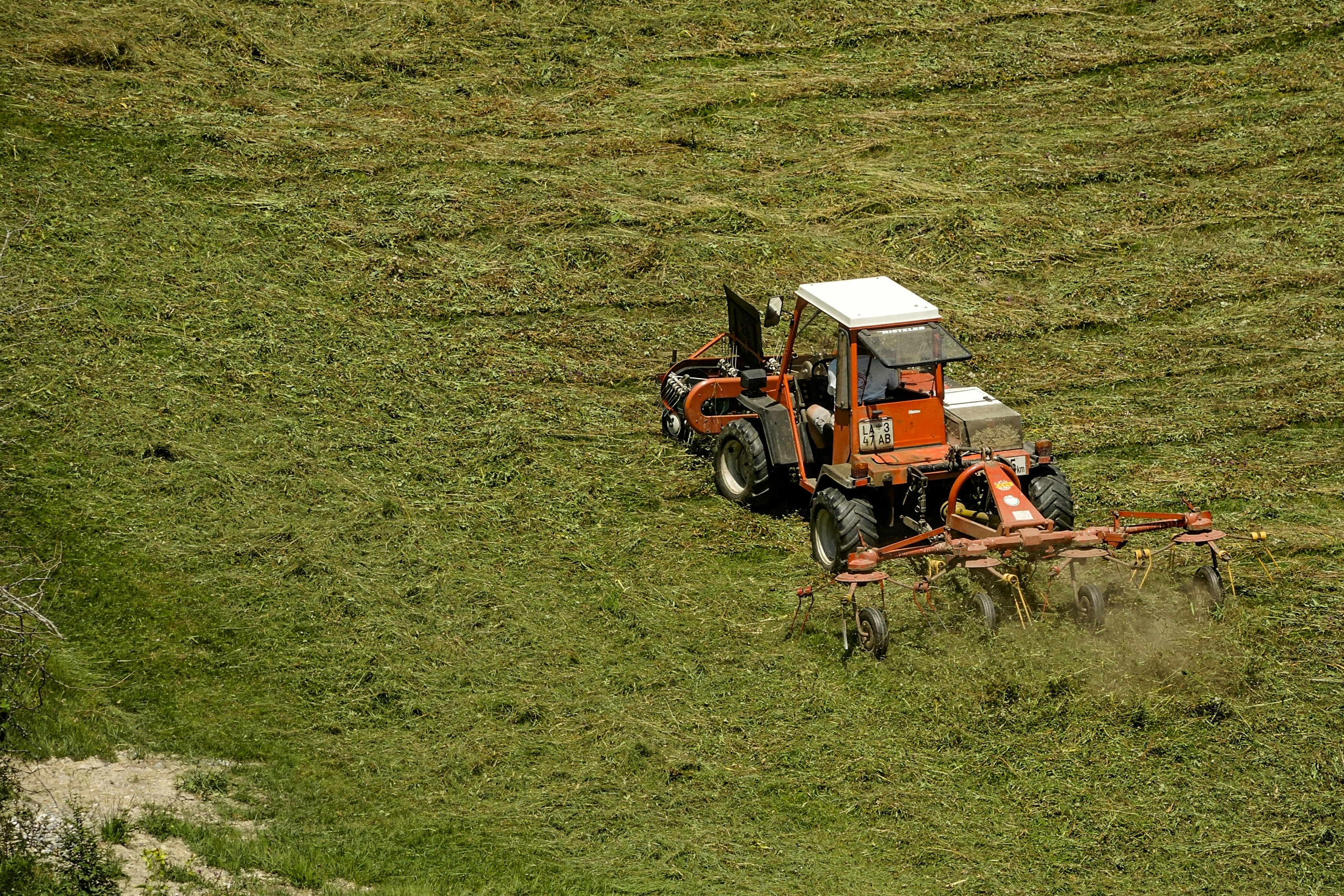 Tractor maneuvering through freshly cut grass in a vibrant agricultural landscape.
