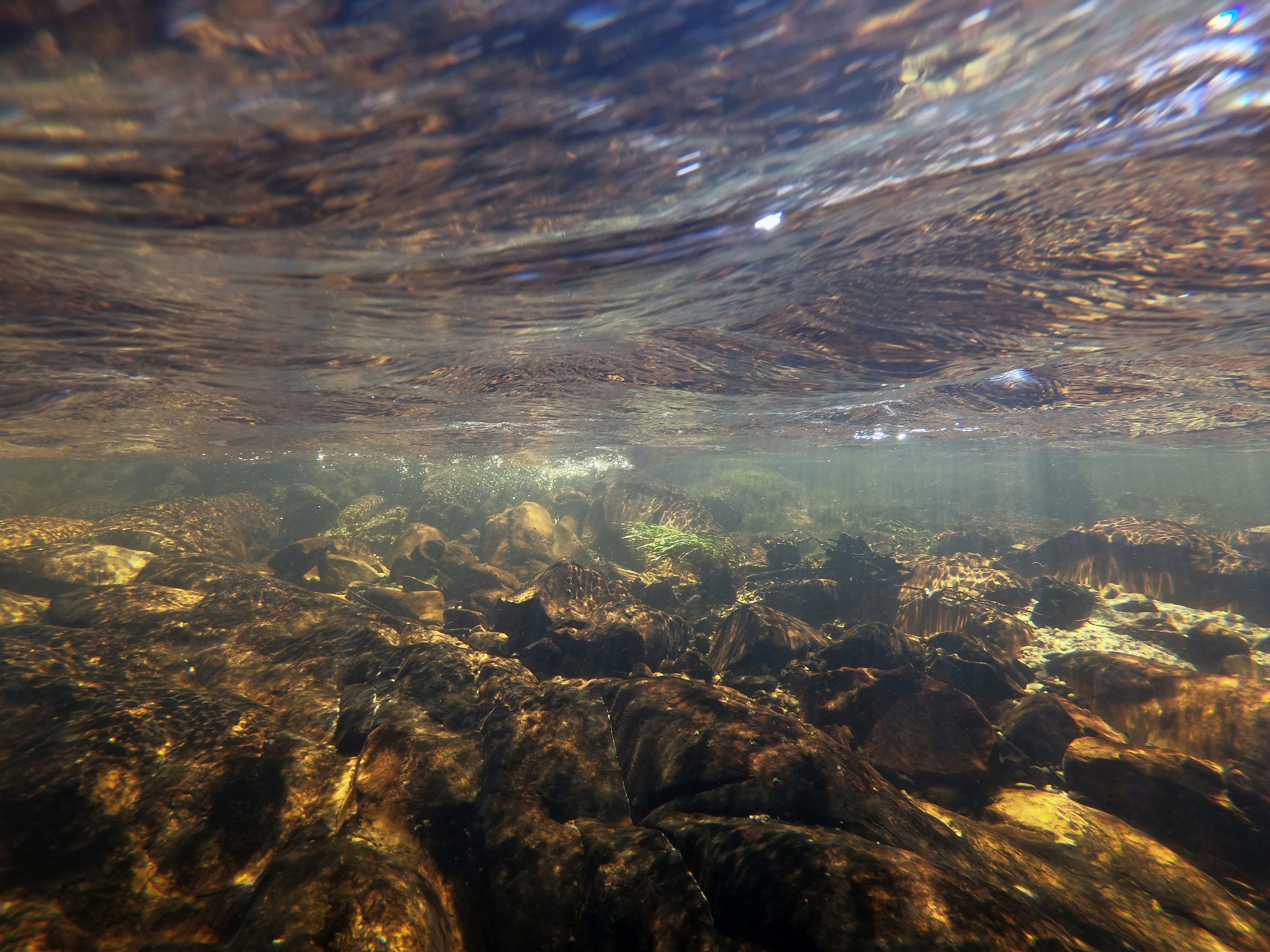 An underwater view of rocks under water photo – Free Wallpaper Image on ...