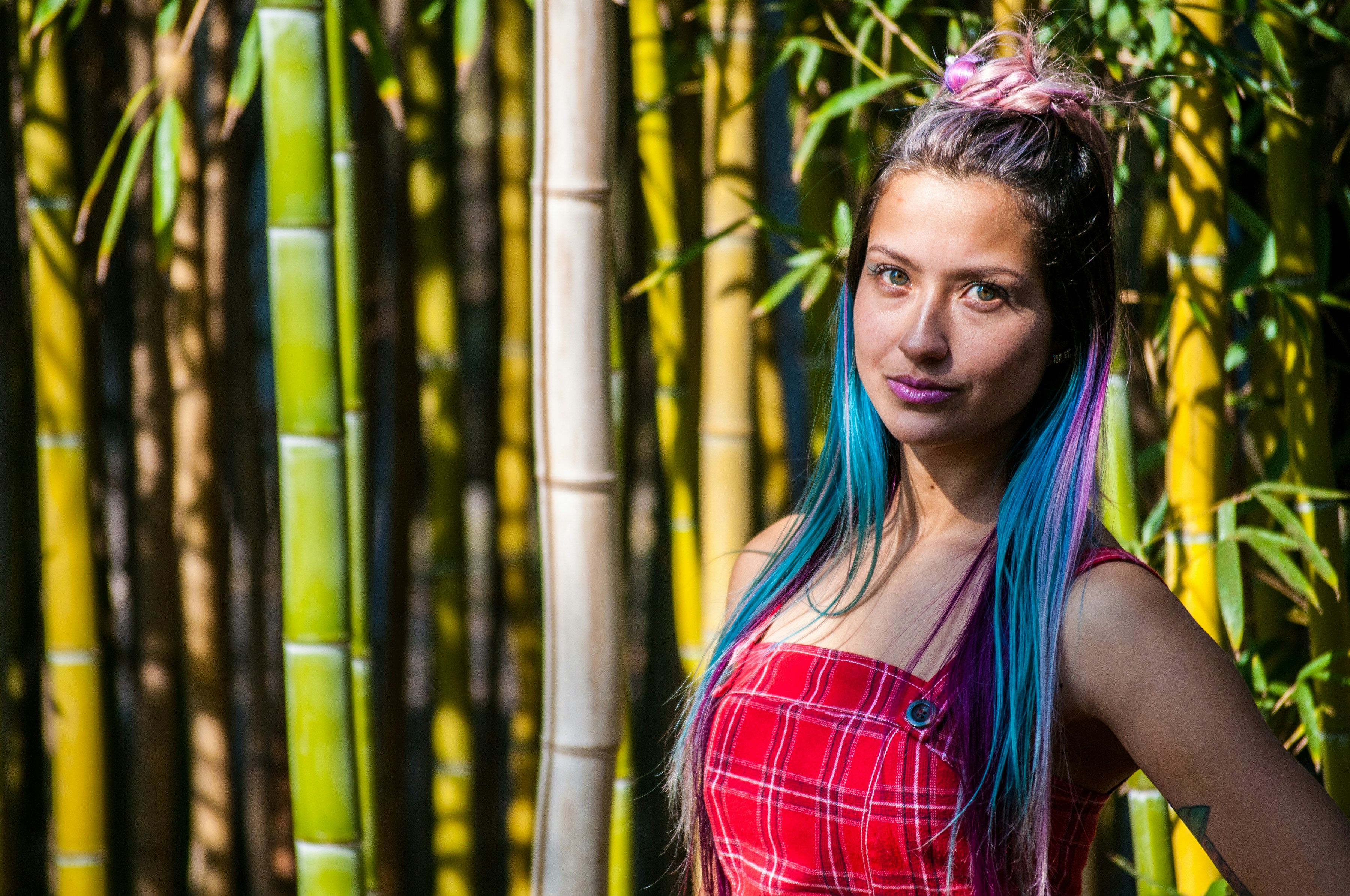 Chromatic Threads in a Bamboo Portrait