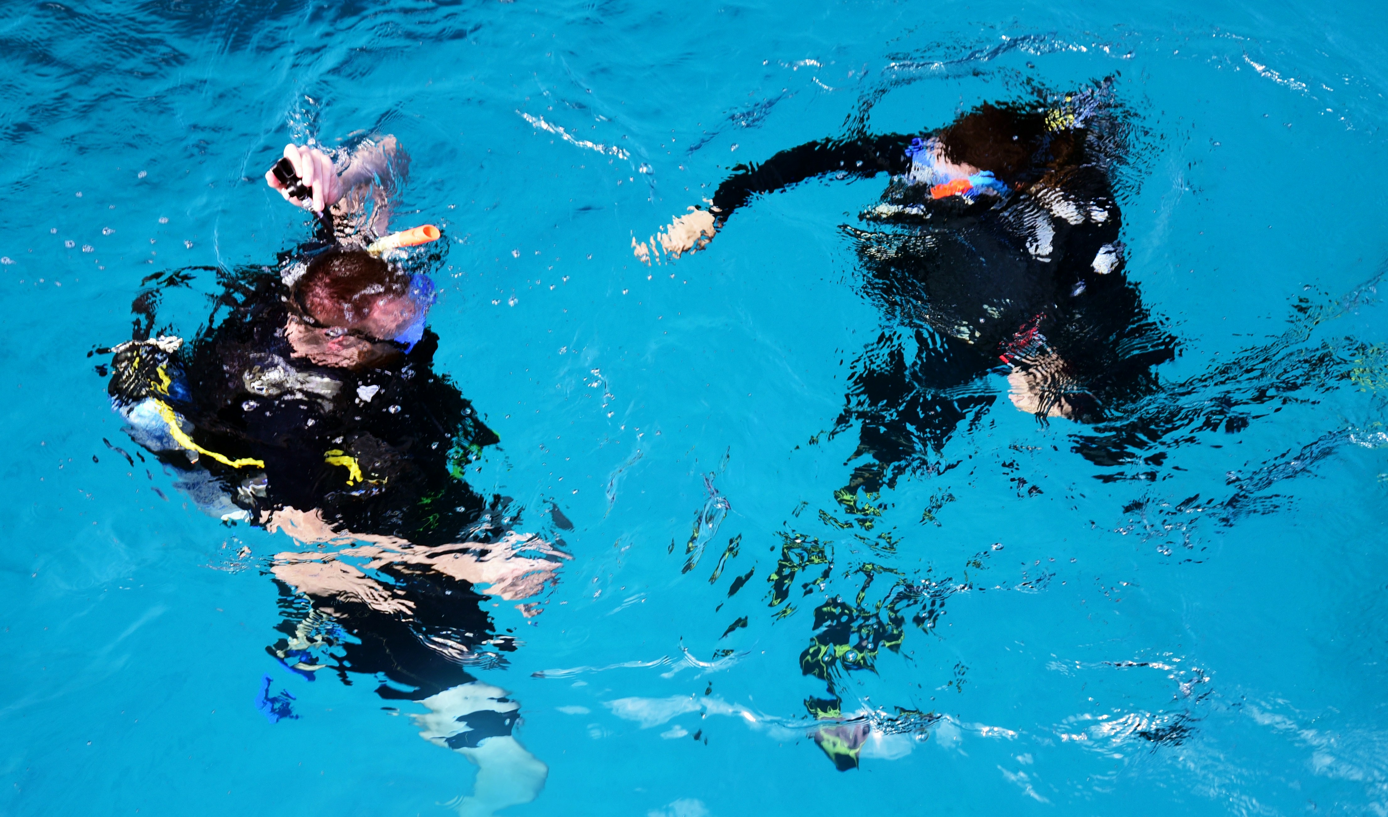 Two divers float in clear blue water, preparing to descend beneath the surface.