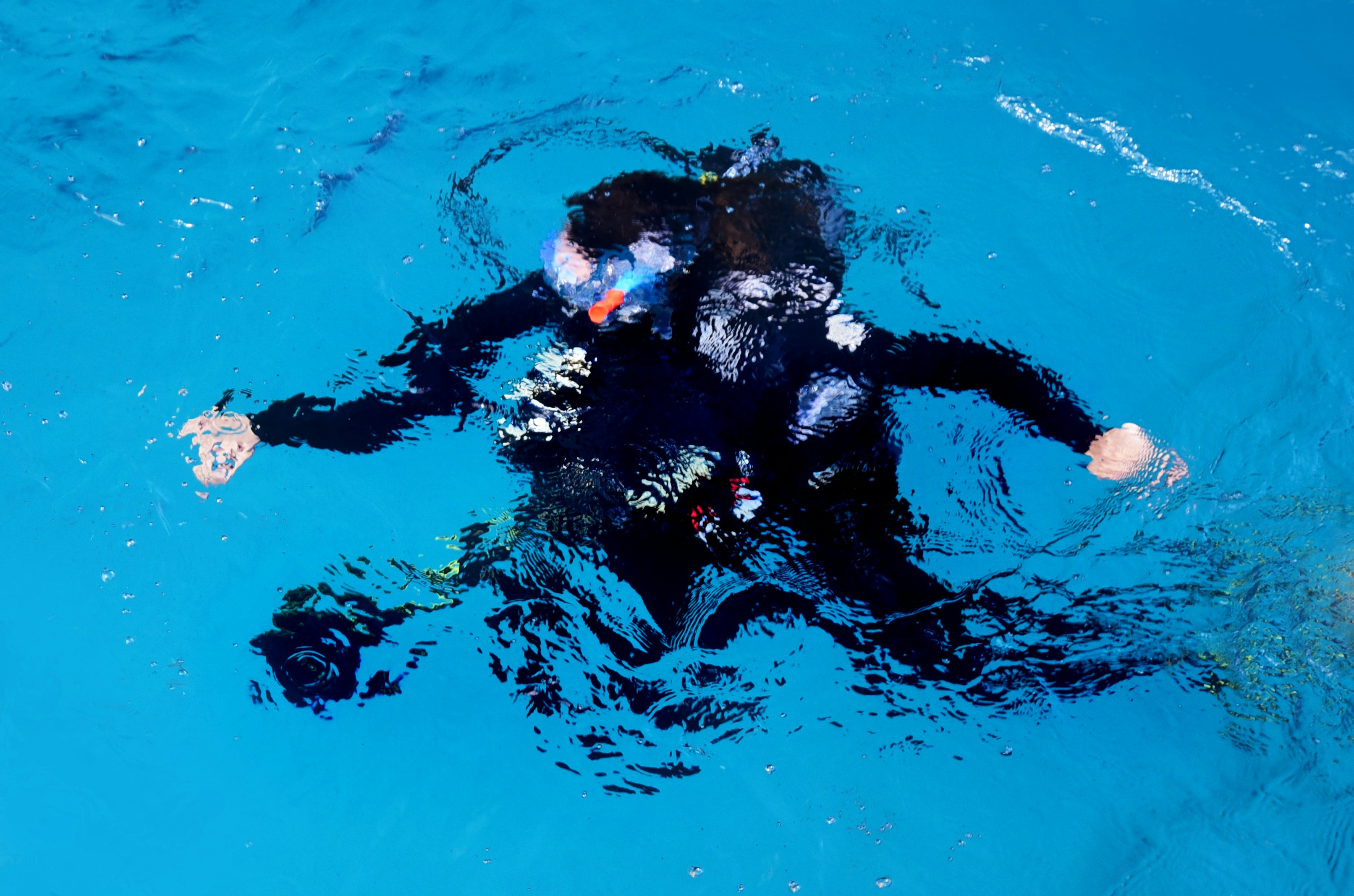 Scuba diver in a black wetsuit floats in clear blue water, creating abstract ripple patterns.