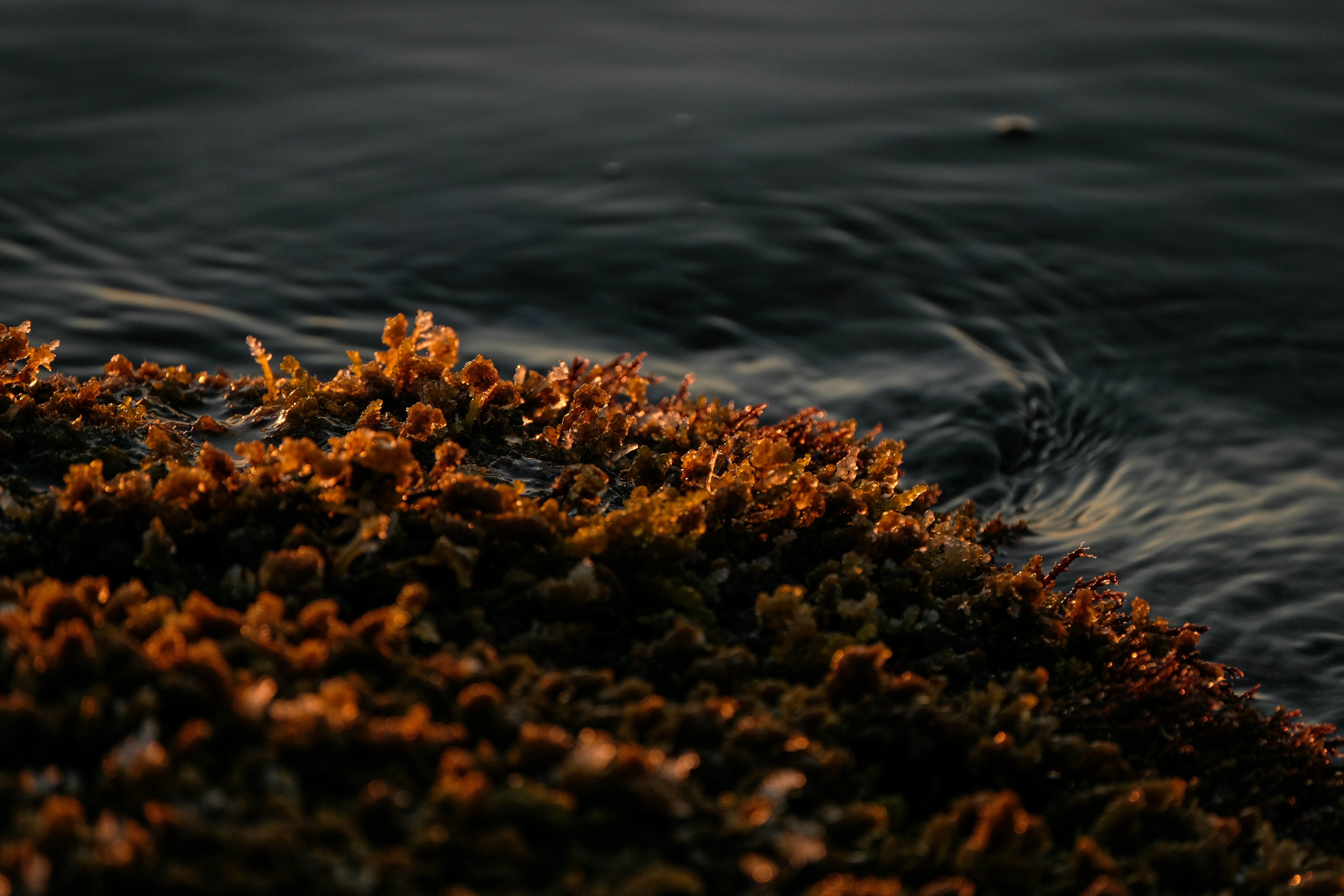 body of water