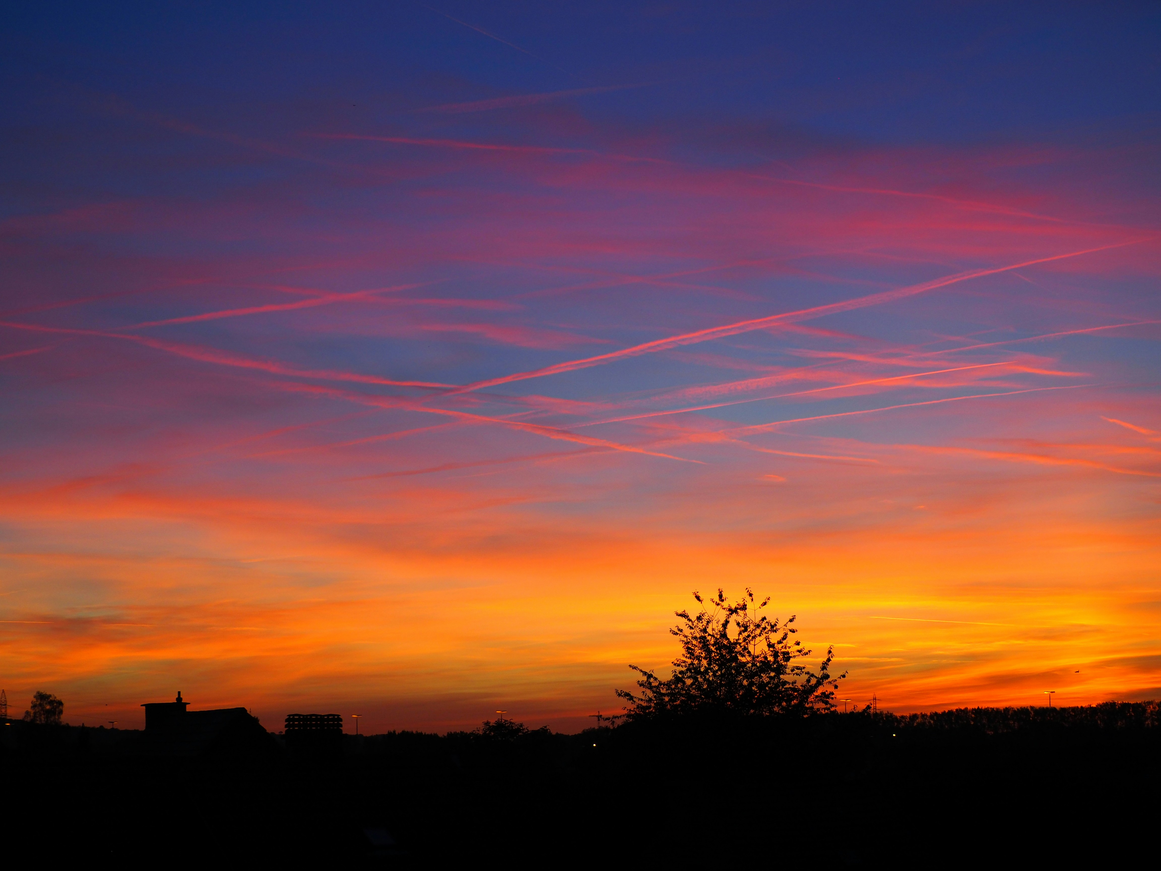 750+ Unedited Pictures | Download Free Images on Unsplash