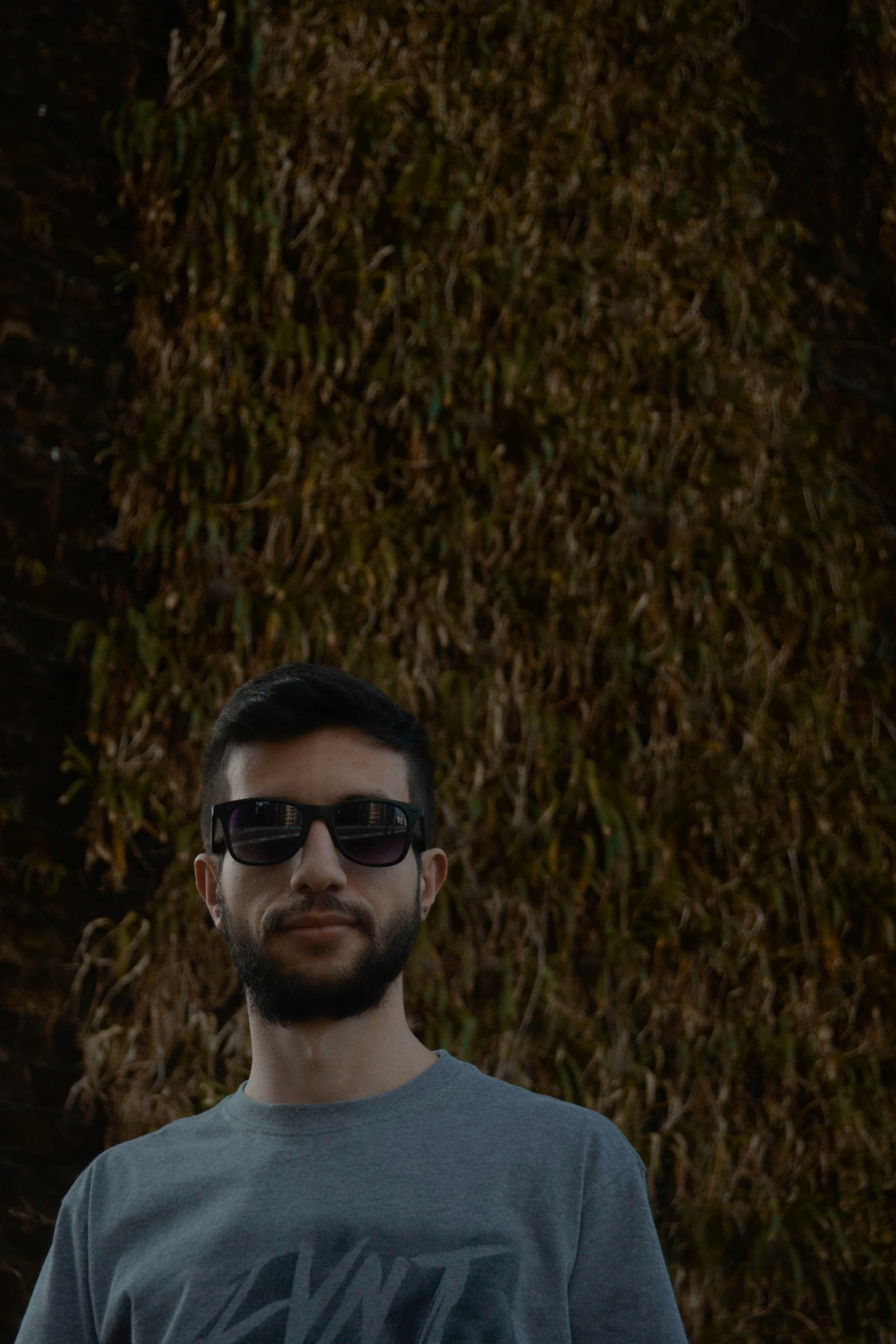 Bearded in the Shade: A Portrait Amid Dense Foliage