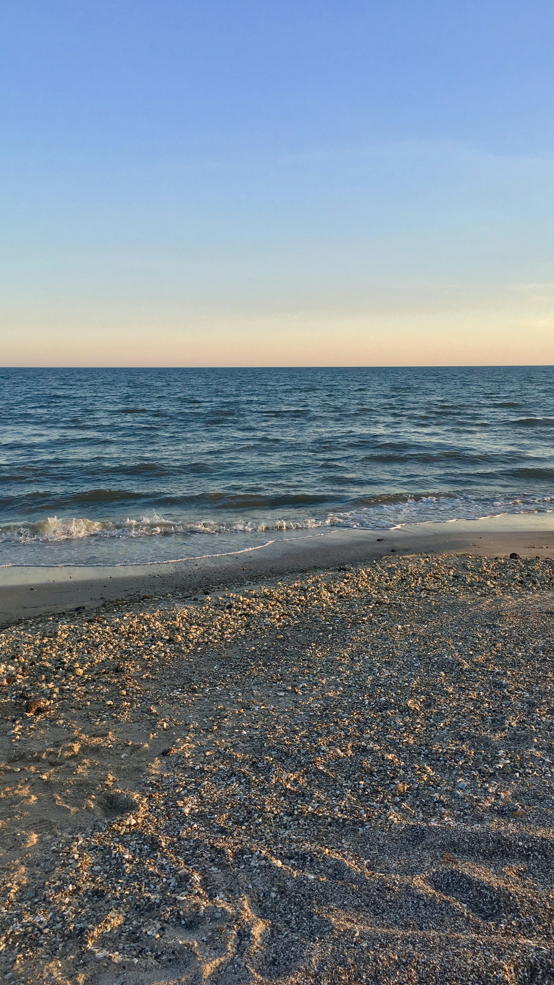 Gentle waves caress a sandy beach strewn with seashells under a pastel sky at dusk.
