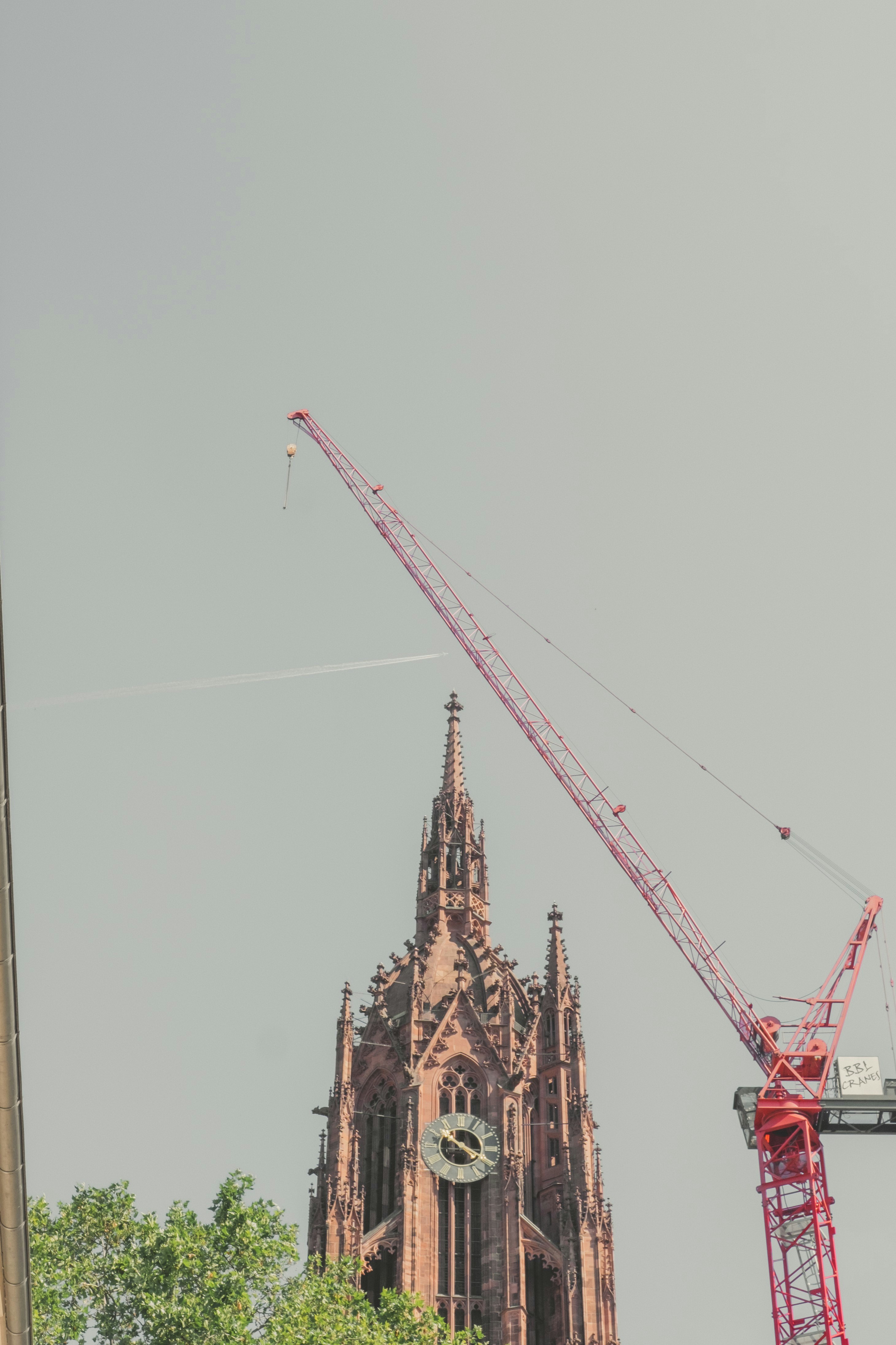 red crane