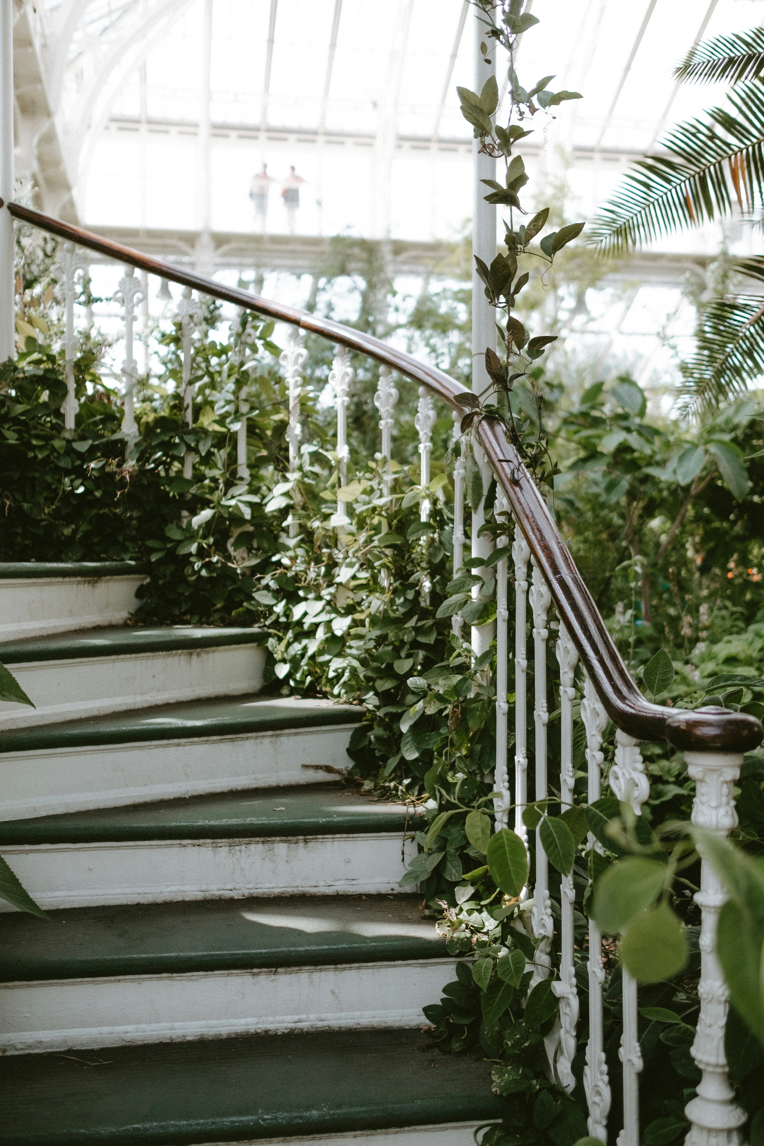 Curved staircase enveloped by lush greenery and vines in a sunlit conservatory.