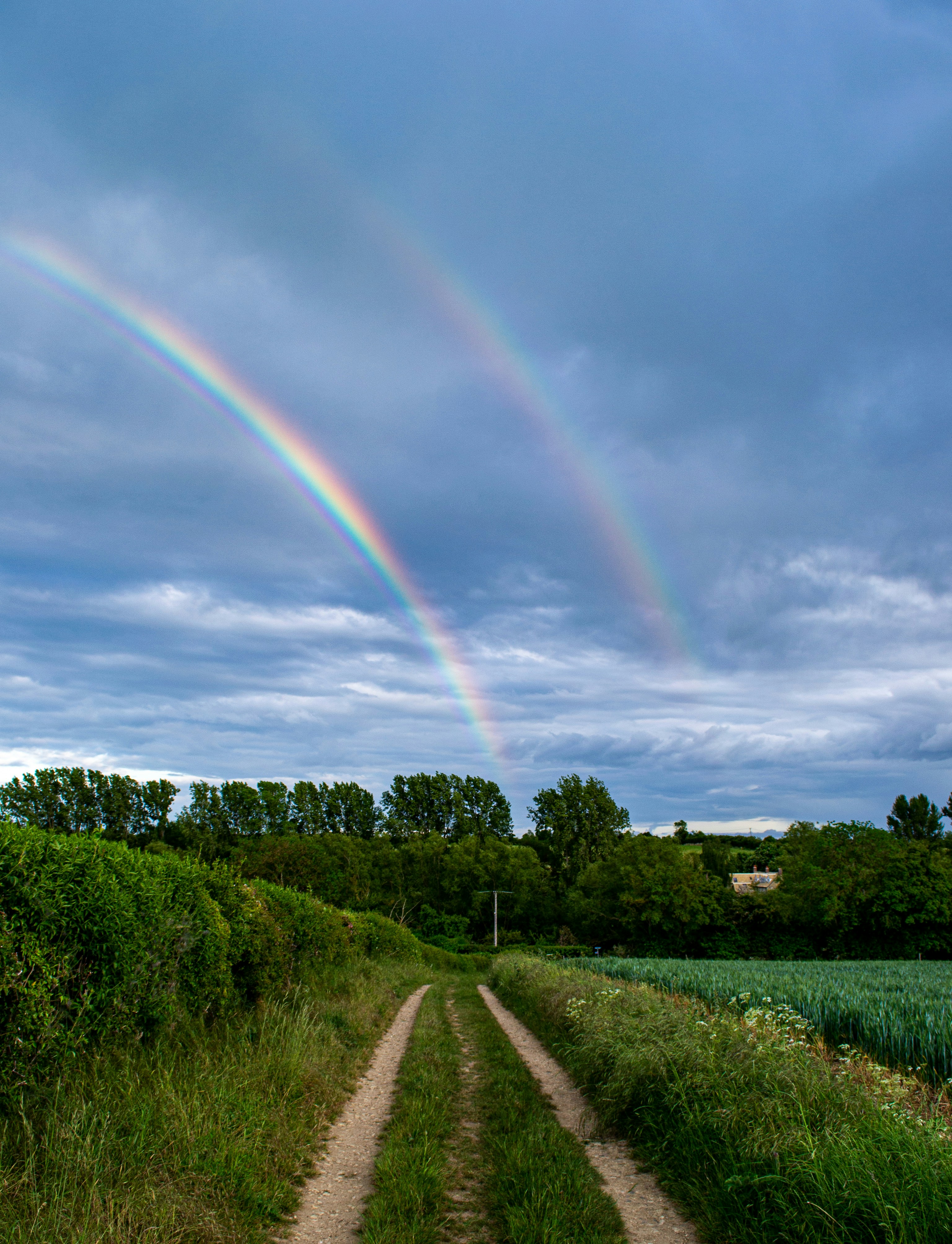 Double Rainbow, Rainbow, Moody Skies, English Countryside | green trees under cloudy sky