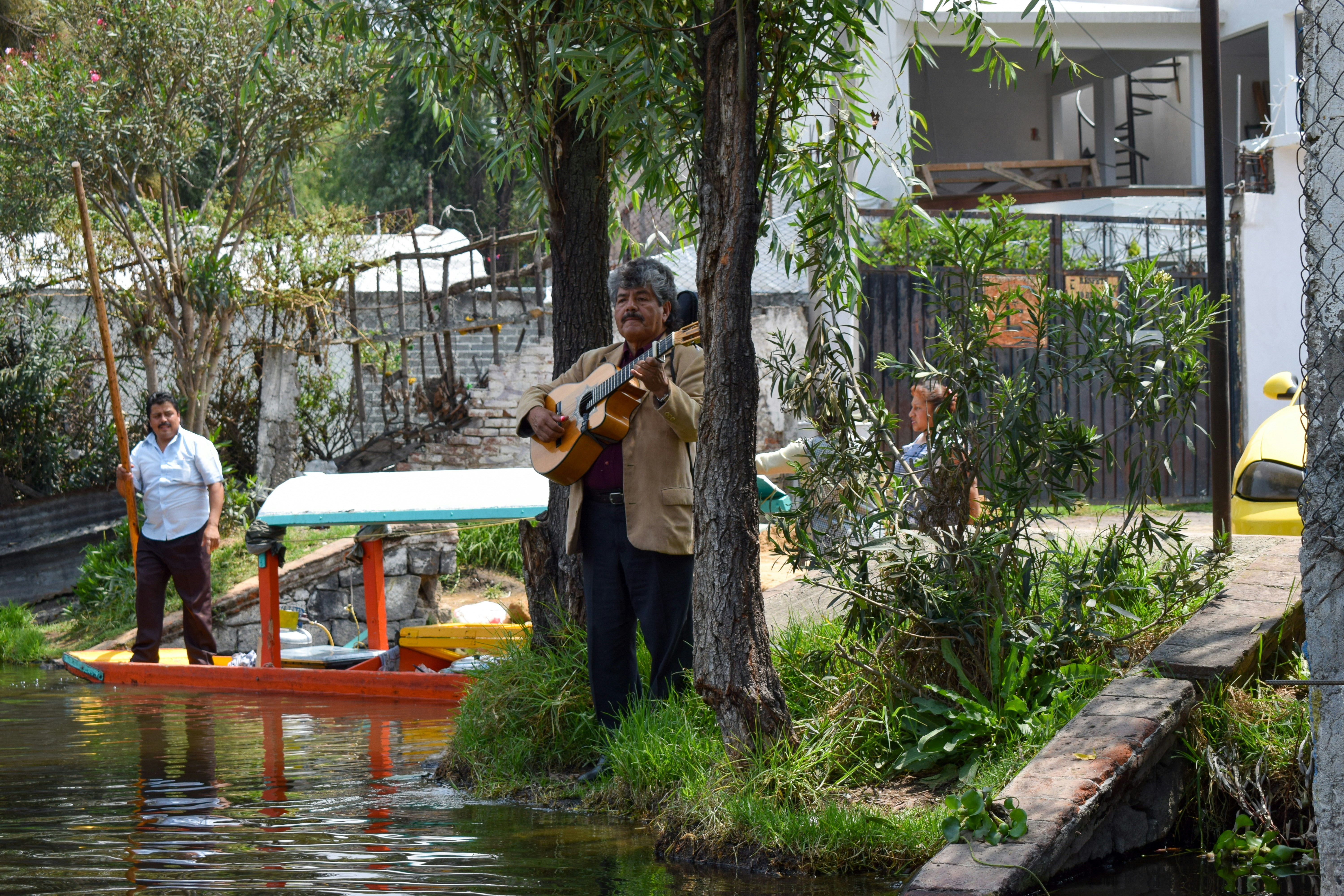 man playing guitar near tree