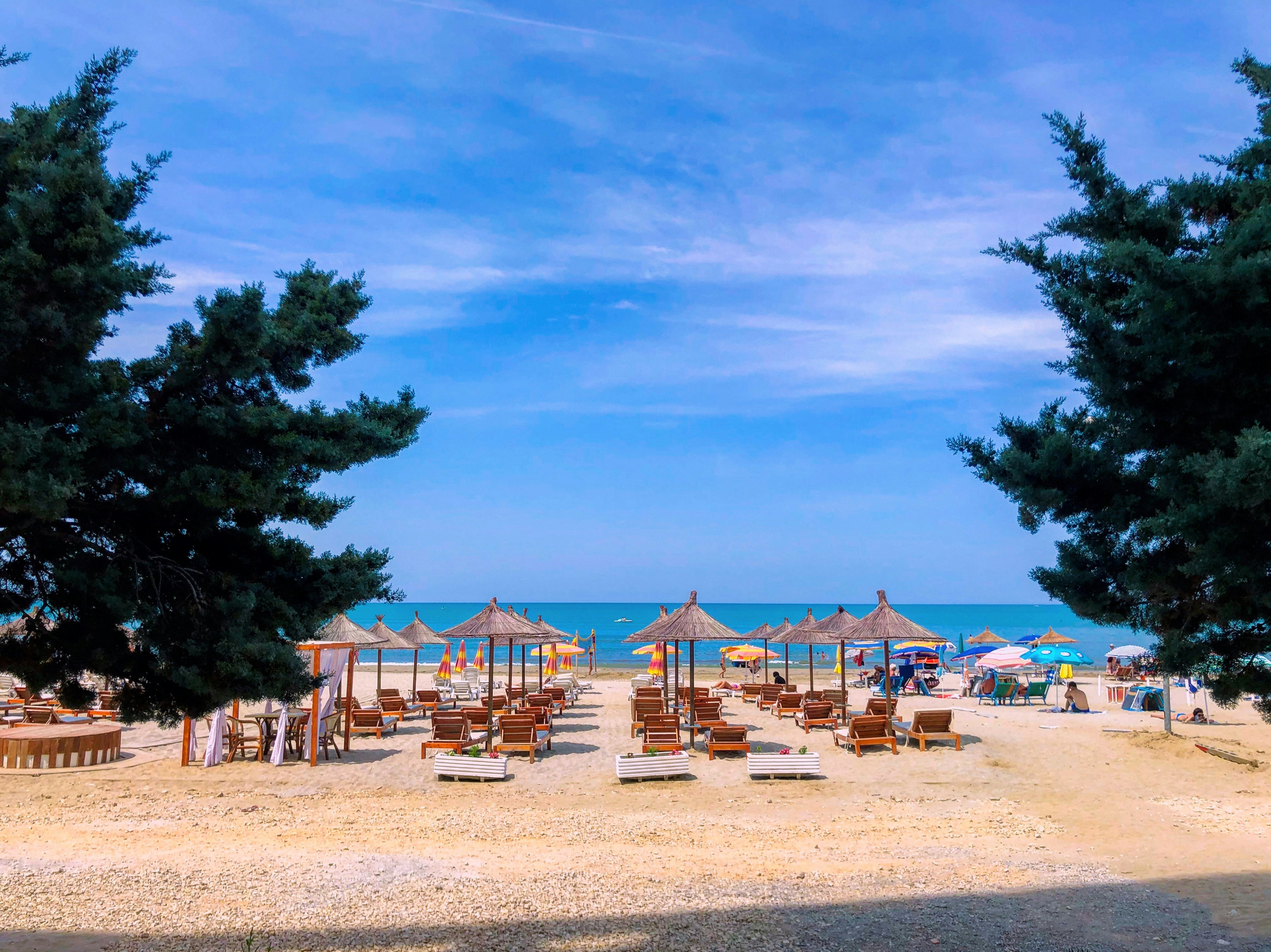 Sun loungers under straw umbrellas on a sandy beach with a clear blue sea and sky framed by pine trees.