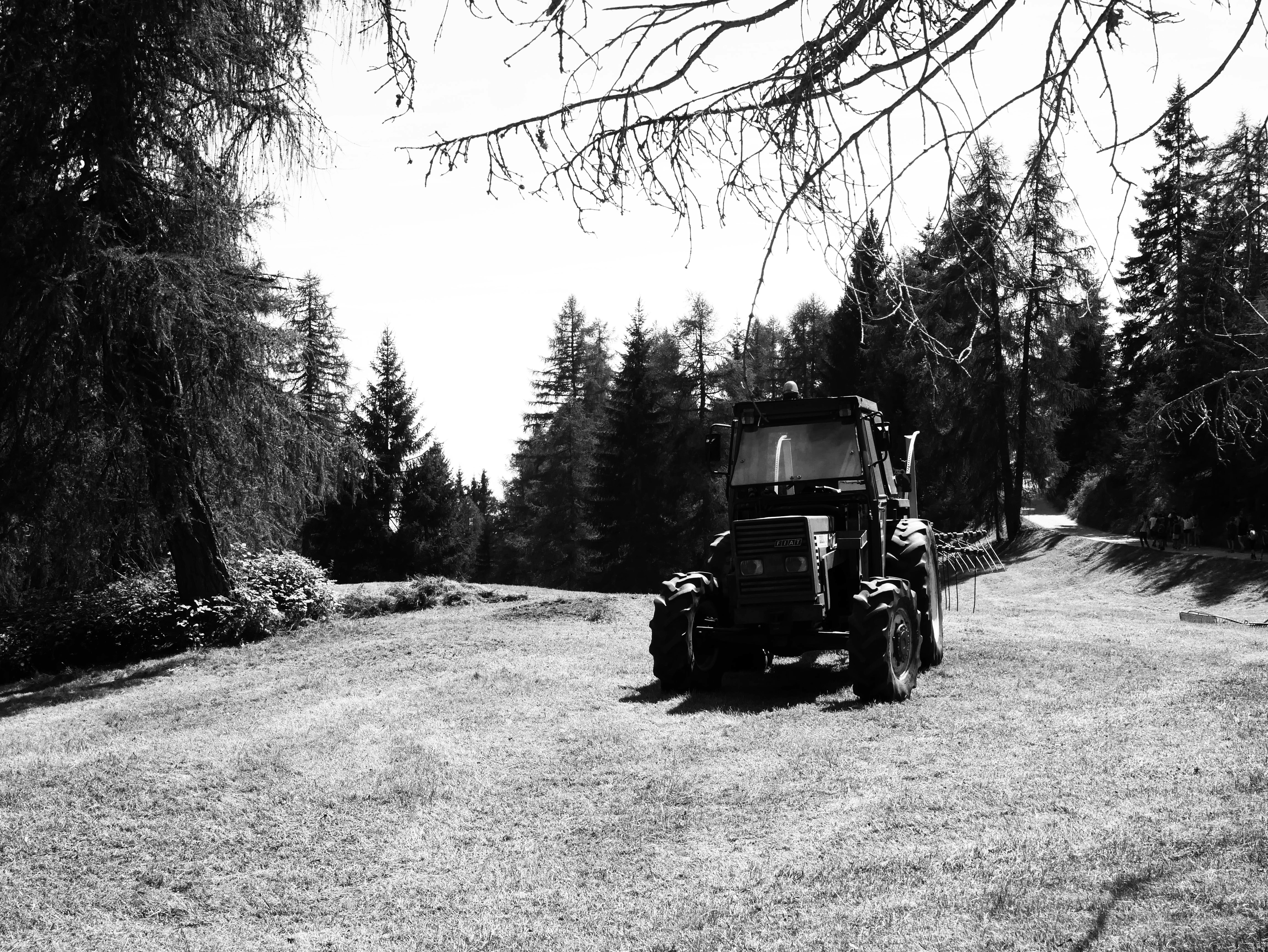 Grayscale photo of tractor photo – Free Plant Image on Unsplash