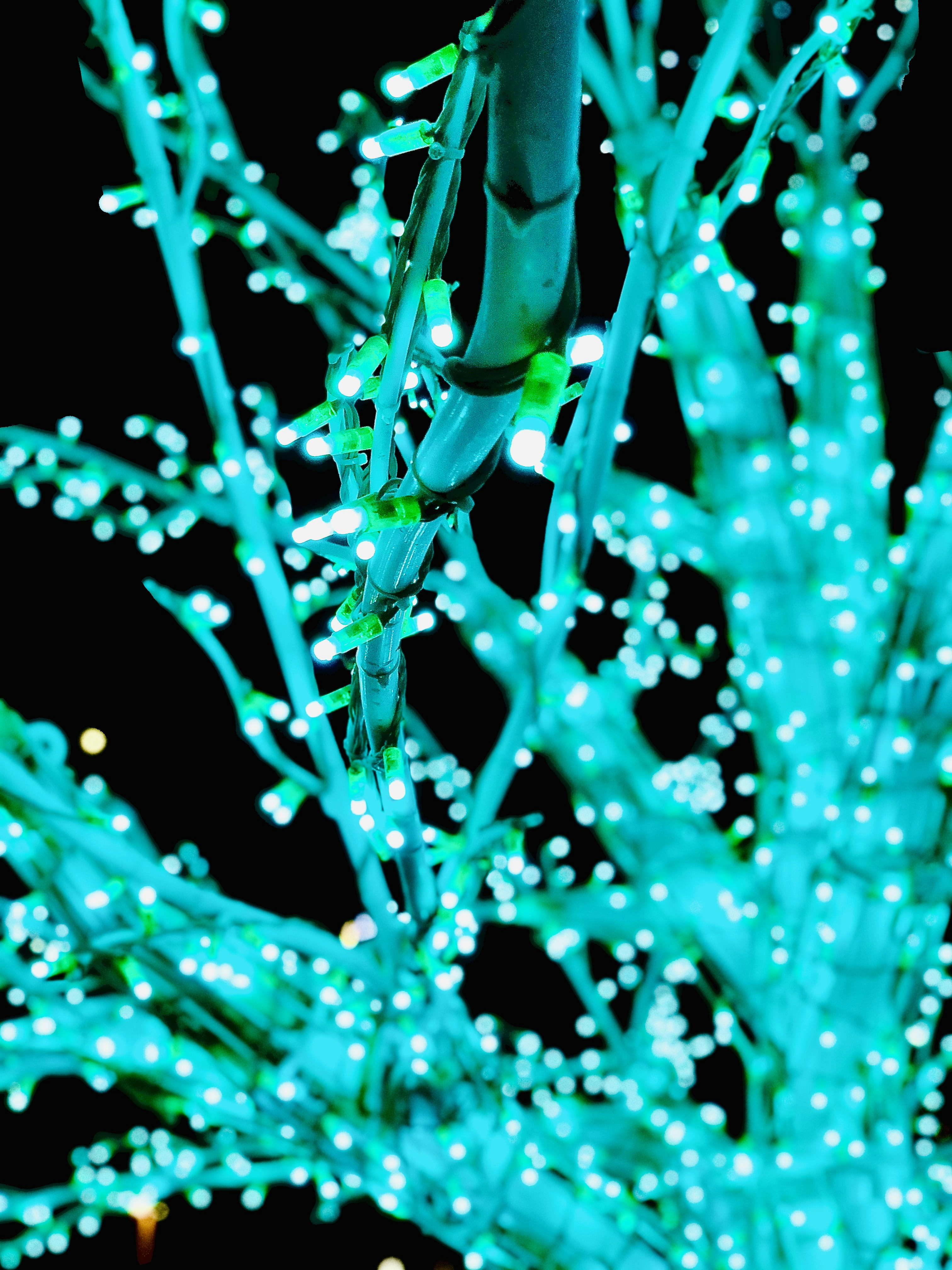 Electric Veil: teal-lit branches weave a night spray of light