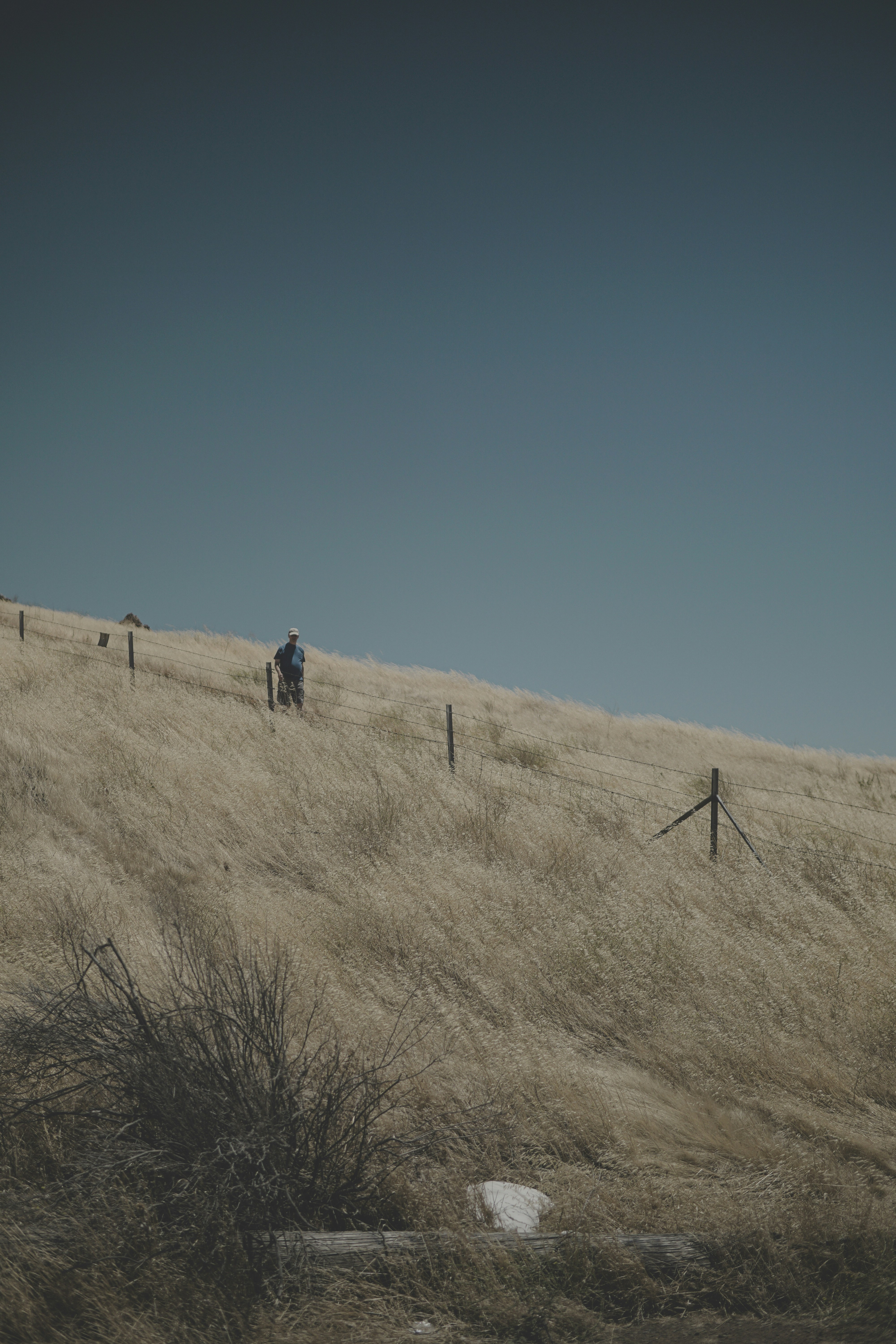 Person standing near field photo – Free Portrait Image on Unsplash