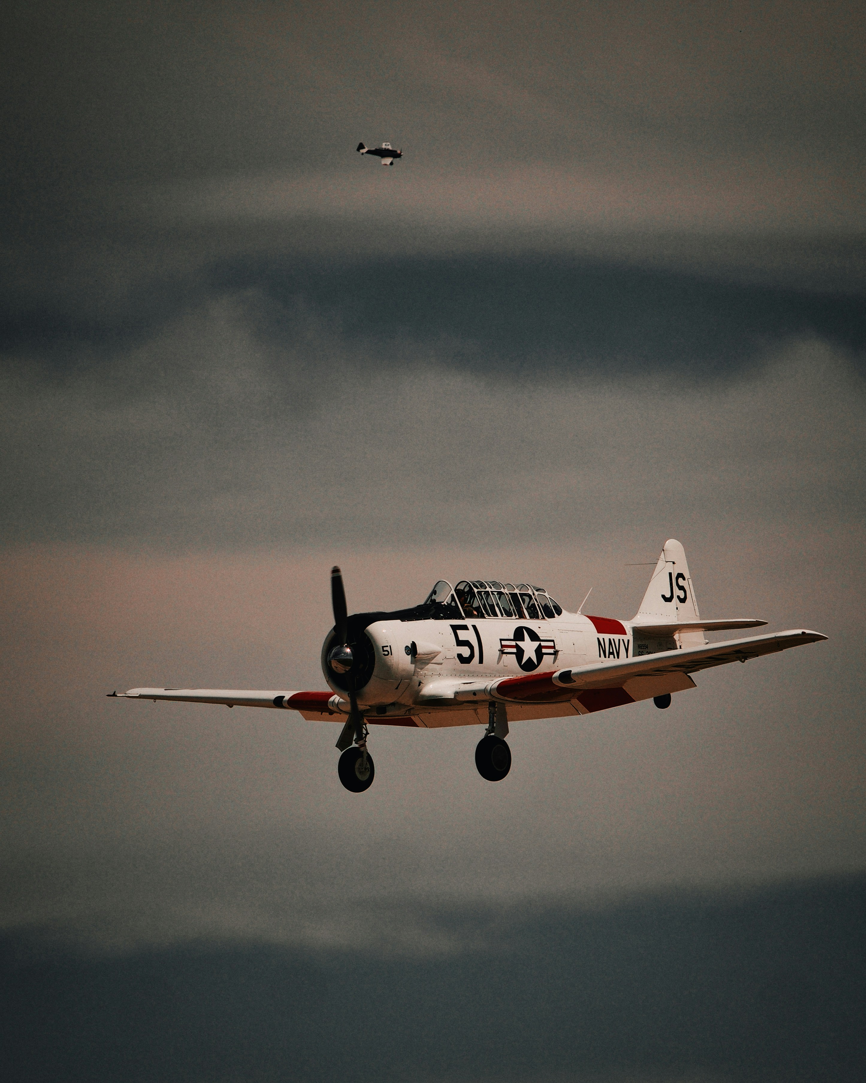 White monoplane photo – Free Animal Image on Unsplash