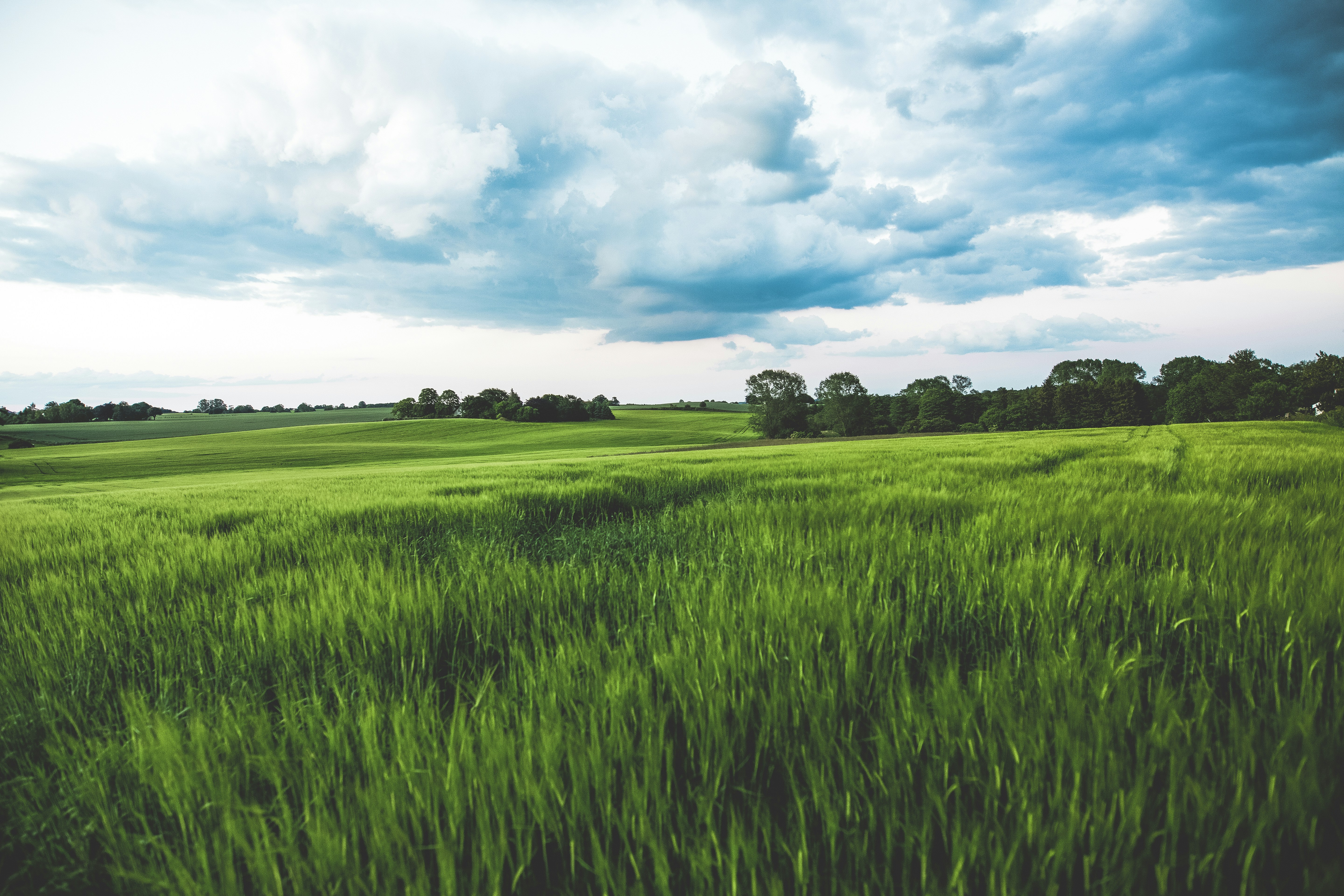 Lush green field stretching under a dramatic cloud-filled sky.