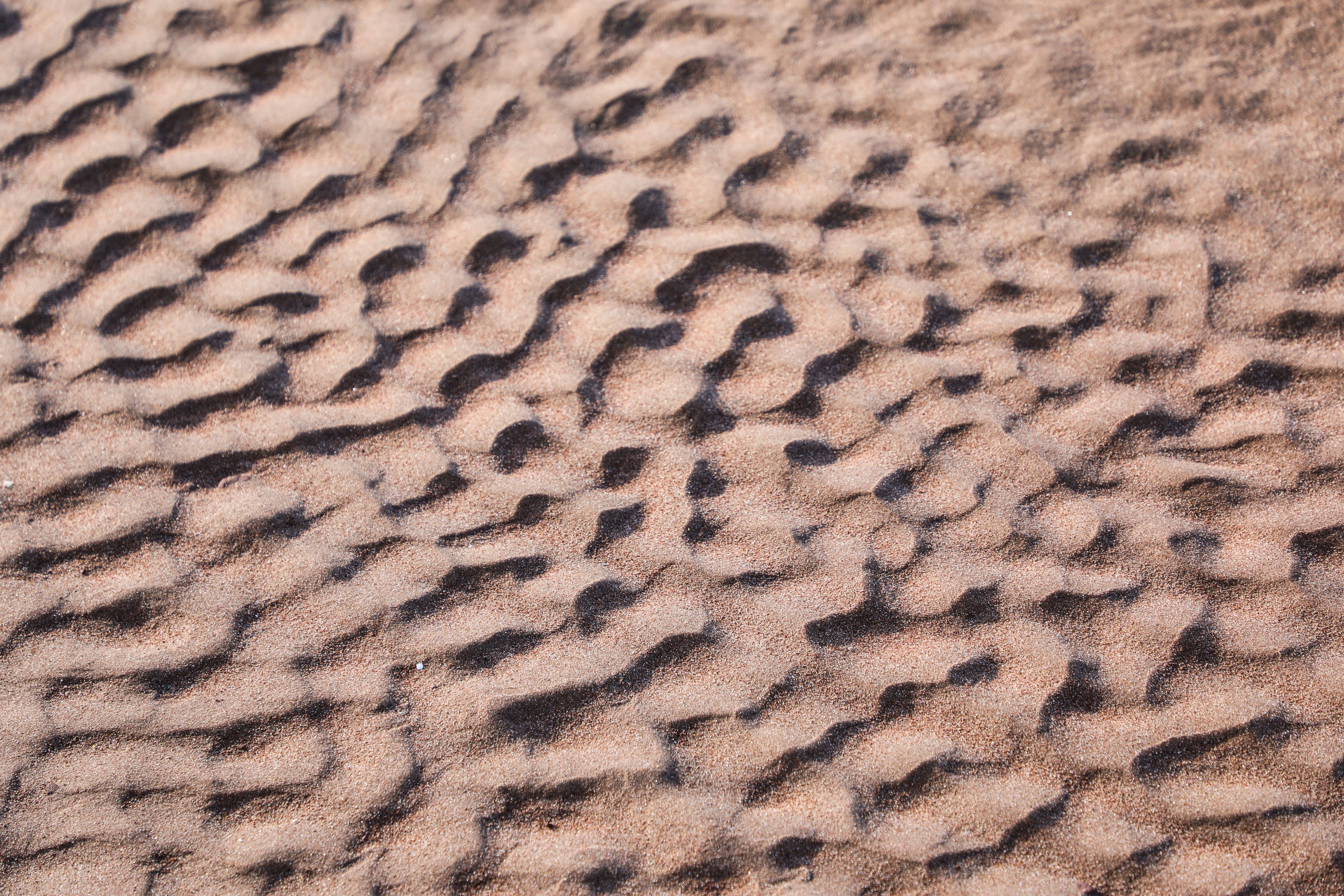 Intricate patterns formed by wind on a sandy surface, showcasing the natural artistry of the desert landscape.