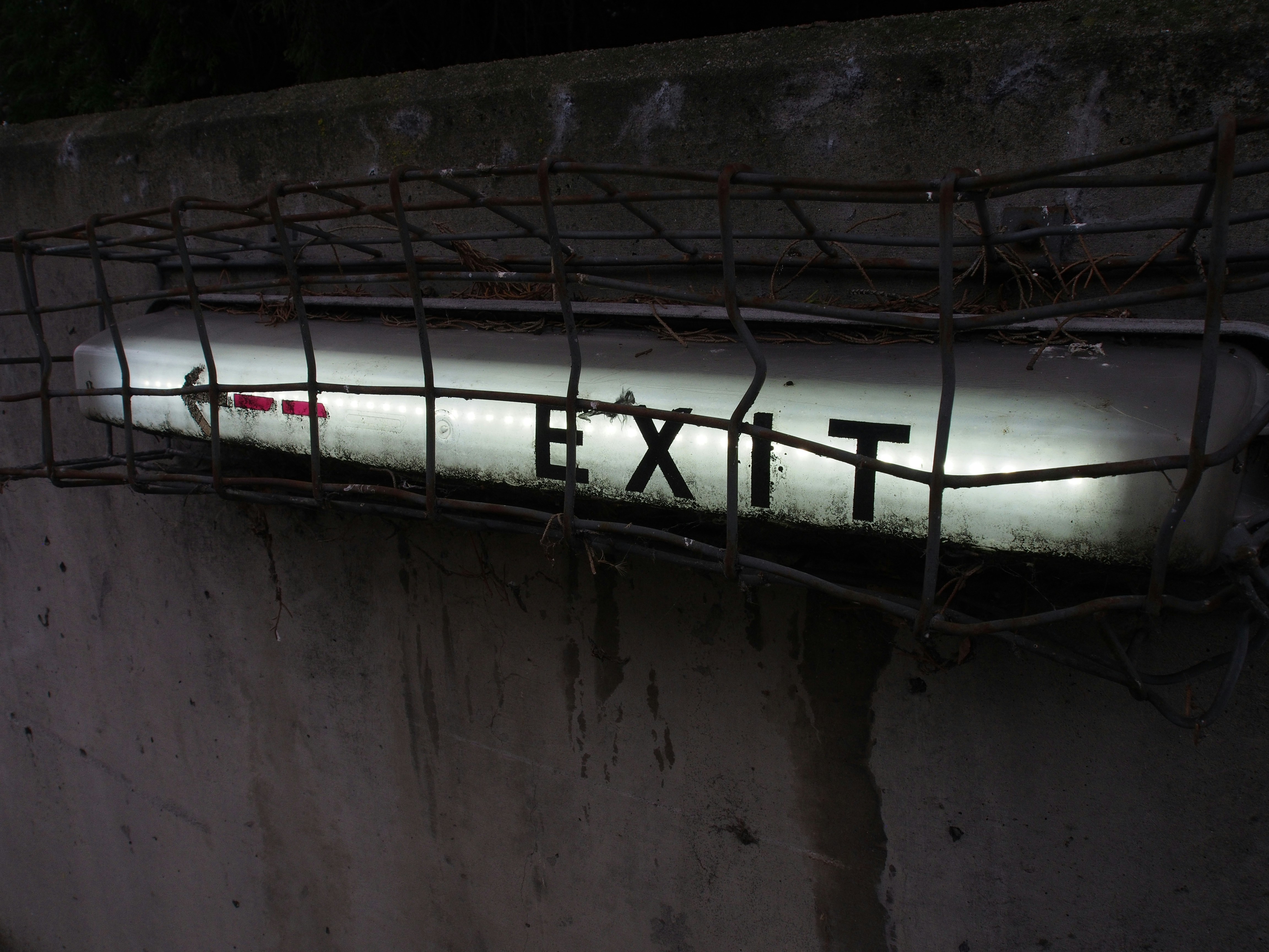 Exit in the Cage: Dim Tube Light on a Rusted Barrier