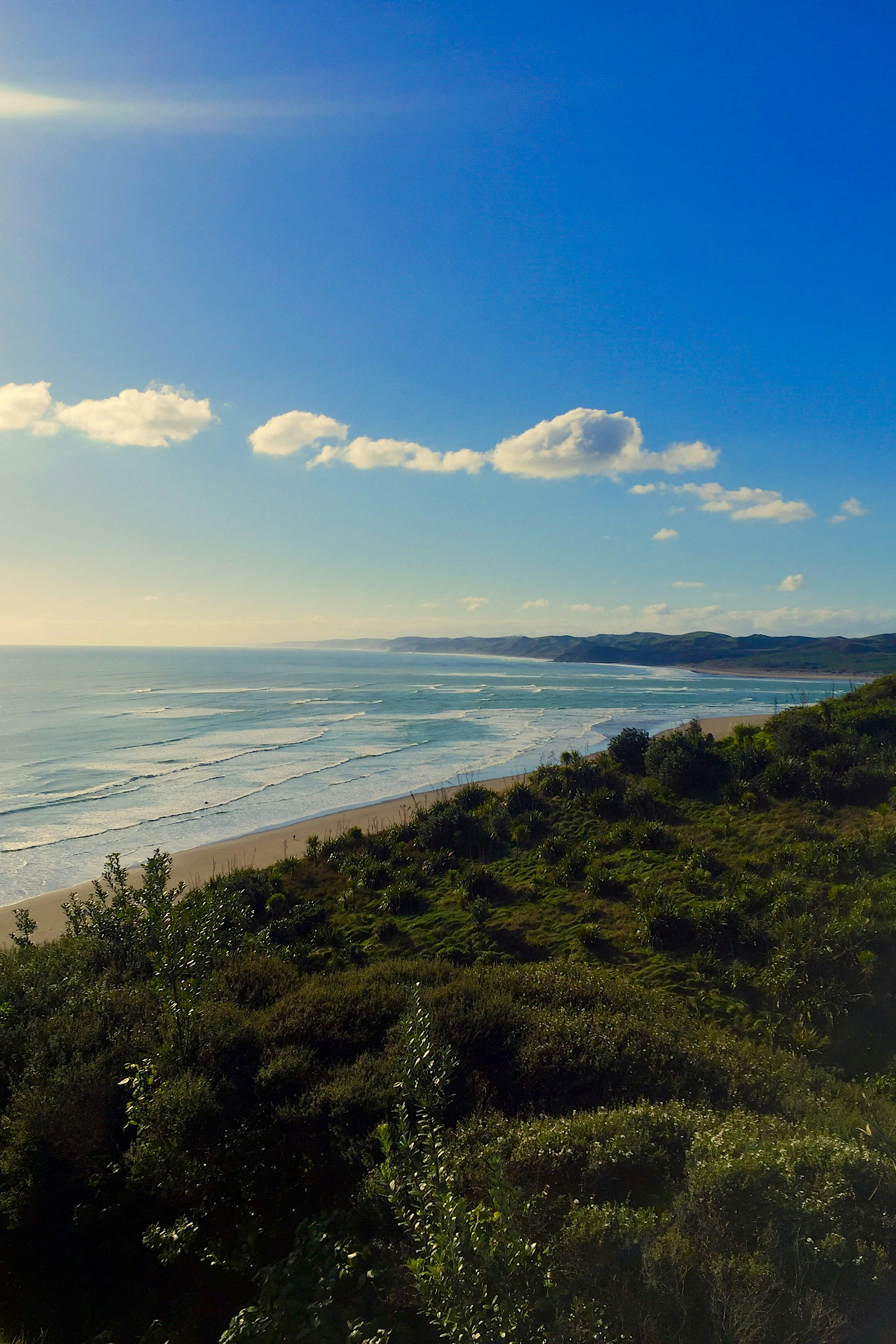 Raglan Photos | Télécharger des images gratuites sur Unsplash