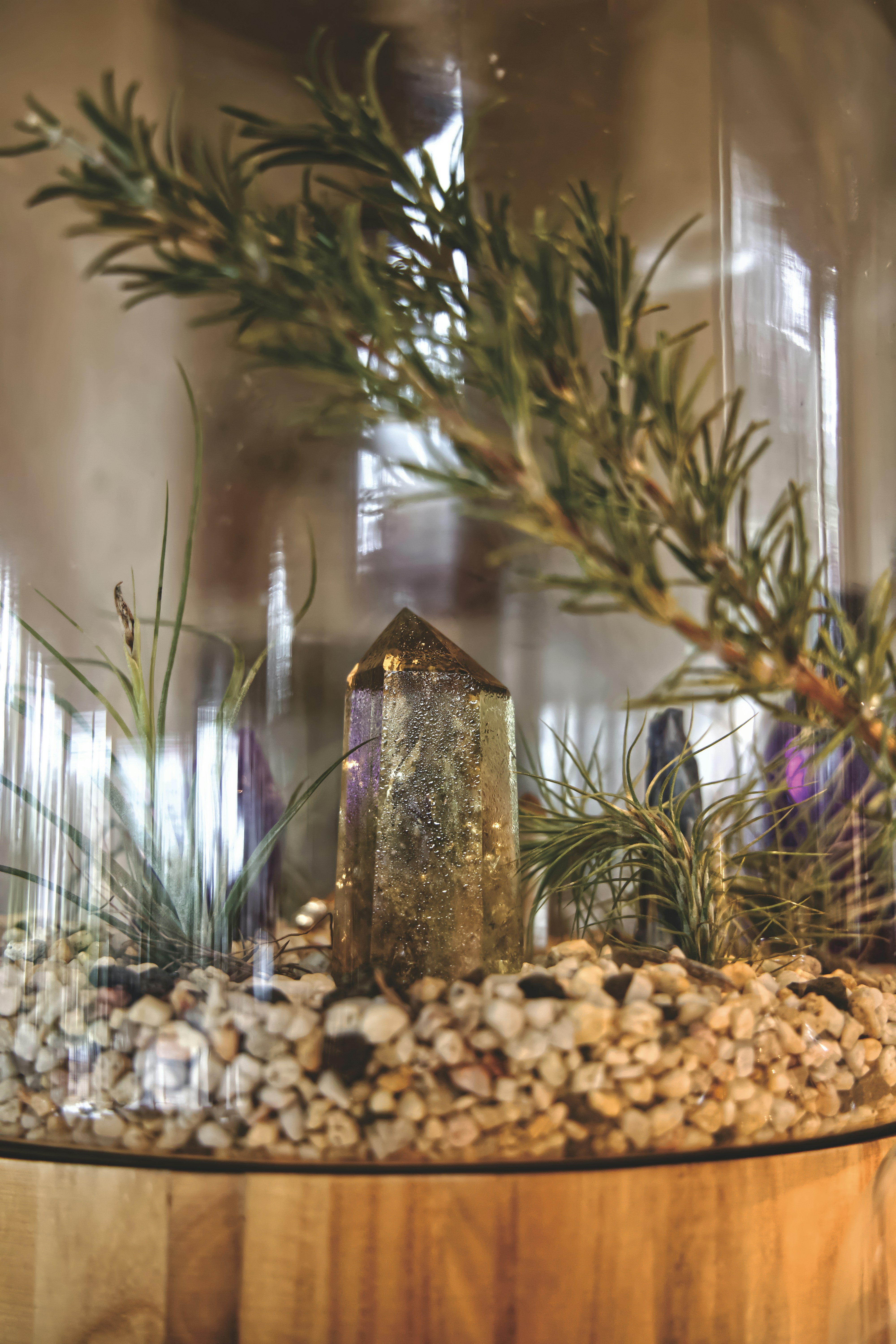A crystal point nestled among pebbles and greenery, enclosed in a glass dome. The arrangement highlights the harmony between natural elements and the beauty of the crystal.