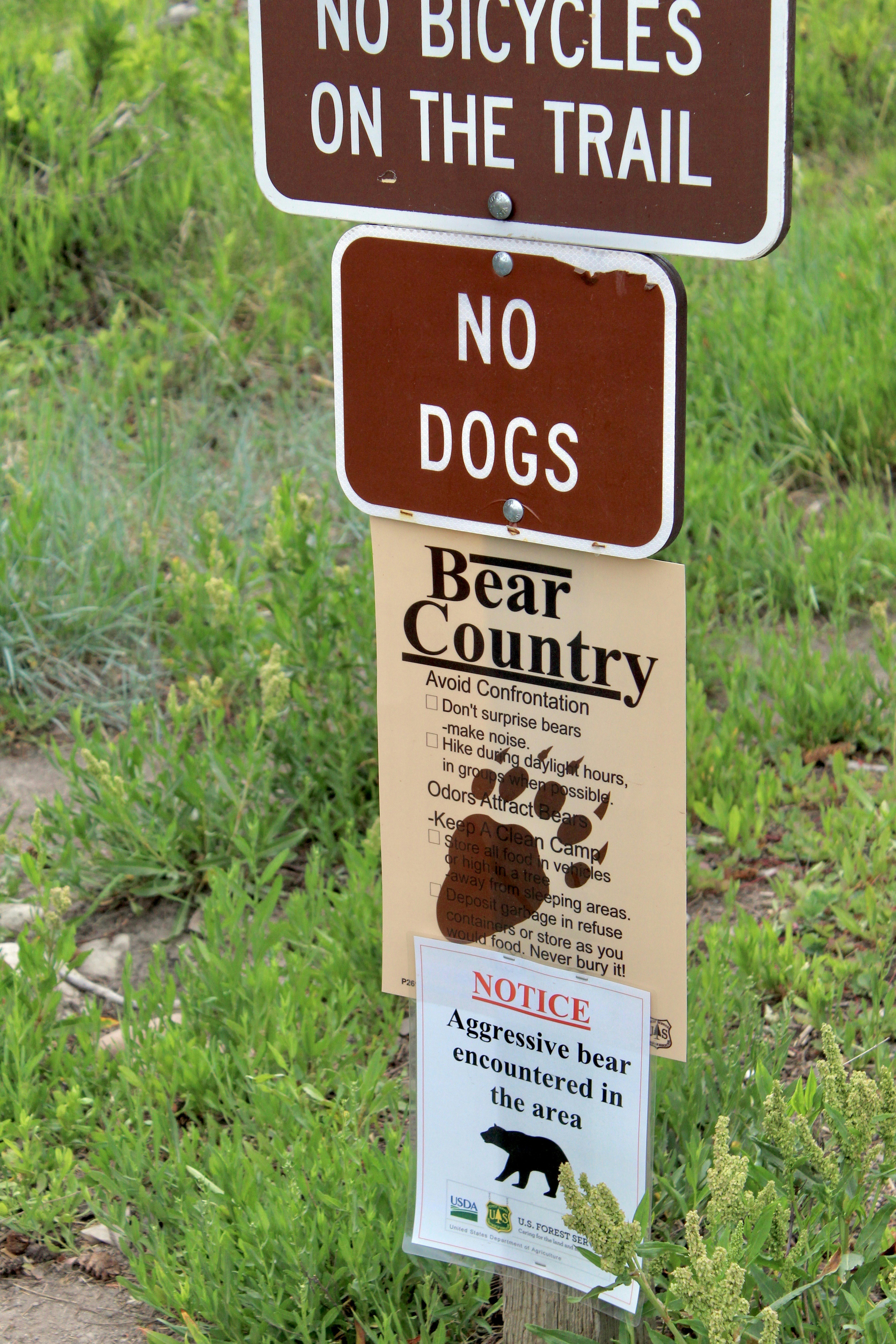 Bear Country Trail Signs: Rules Amid Green Grass and Signage