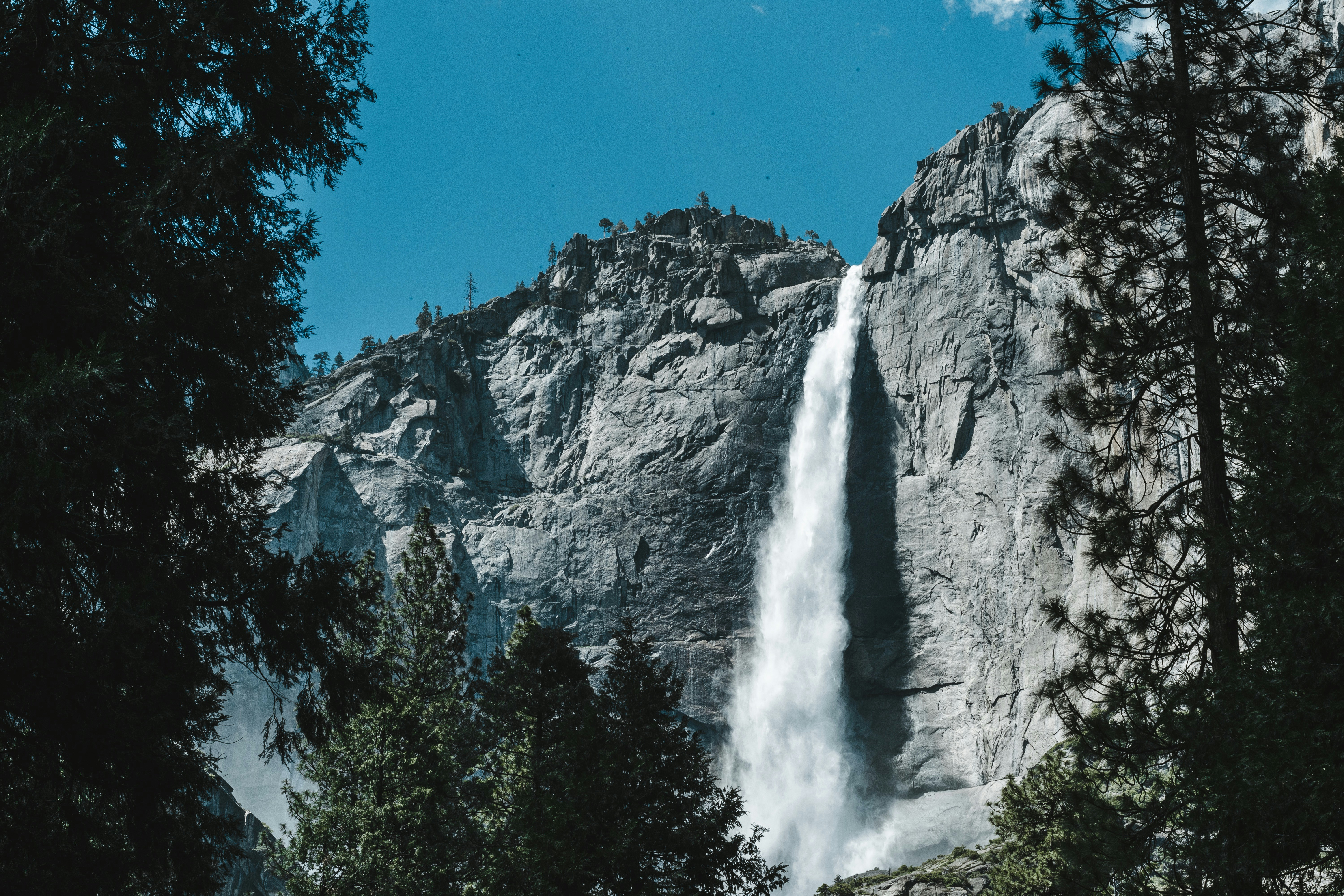 Waterfalls among trees photo – Free Grey Image on Unsplash