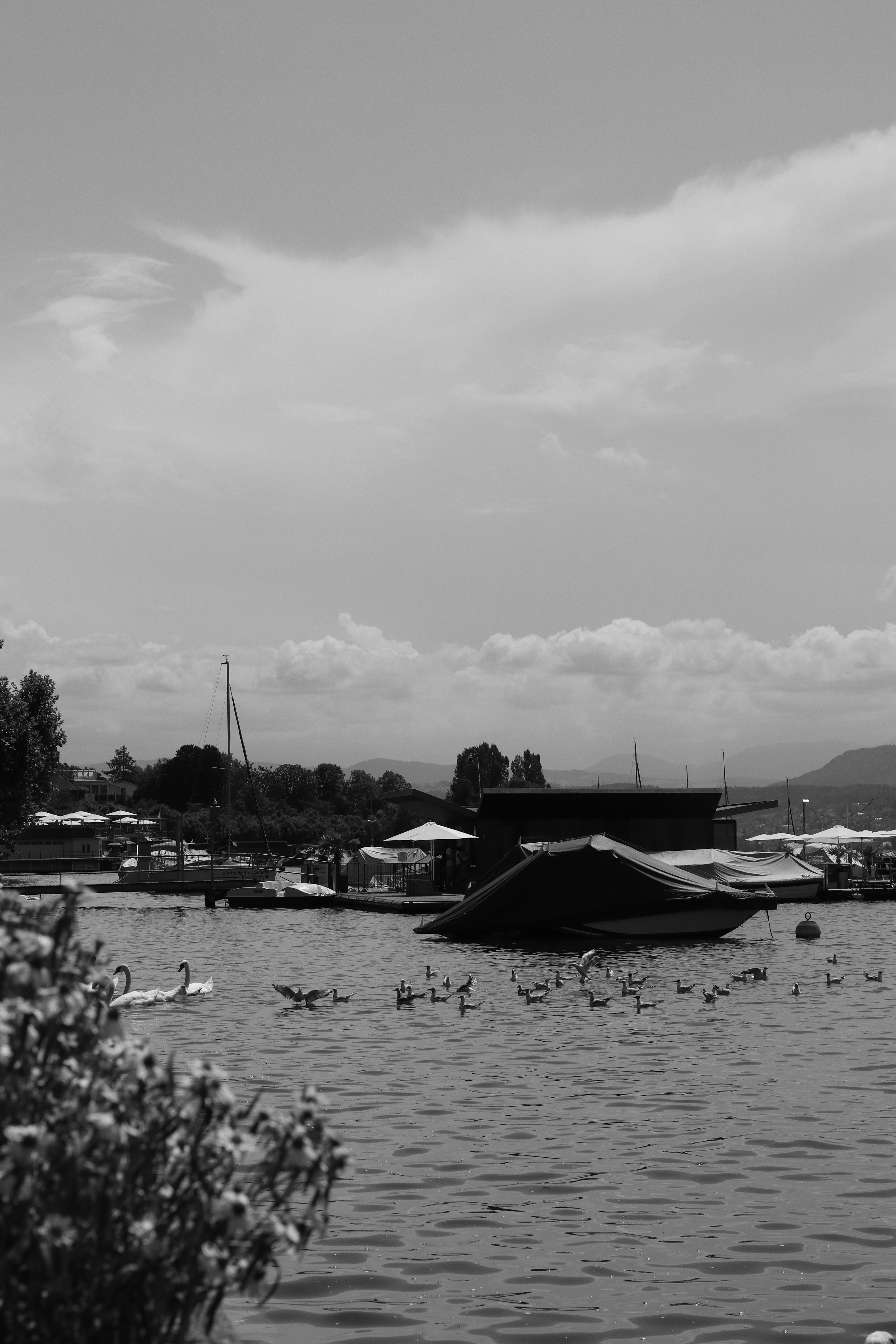 Silhouetted Marina: Boats, Docks, and Birds at Dusk
