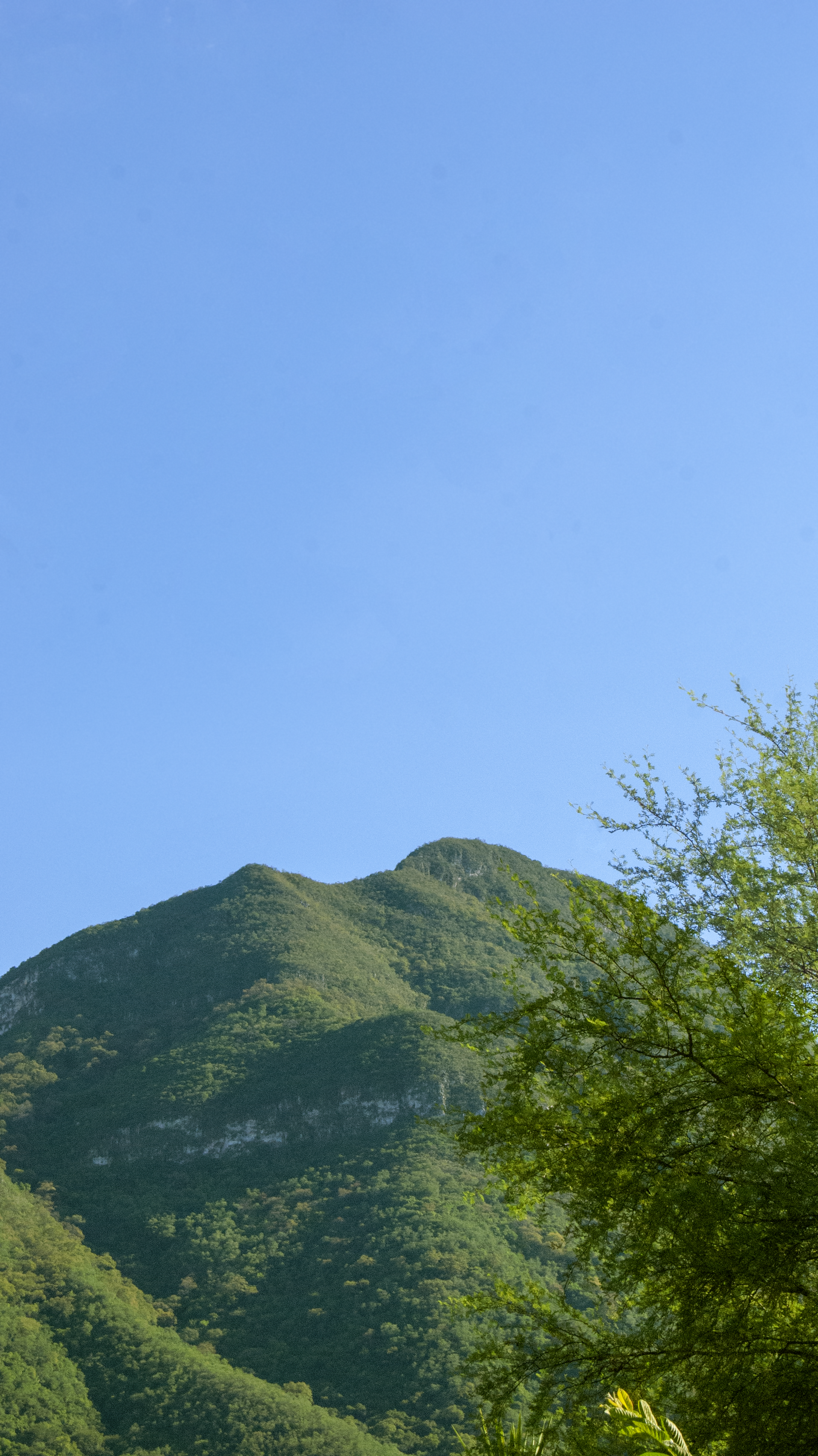 Landscape photograph of green mountains under a clear blue sky, with trees framing the lower right.