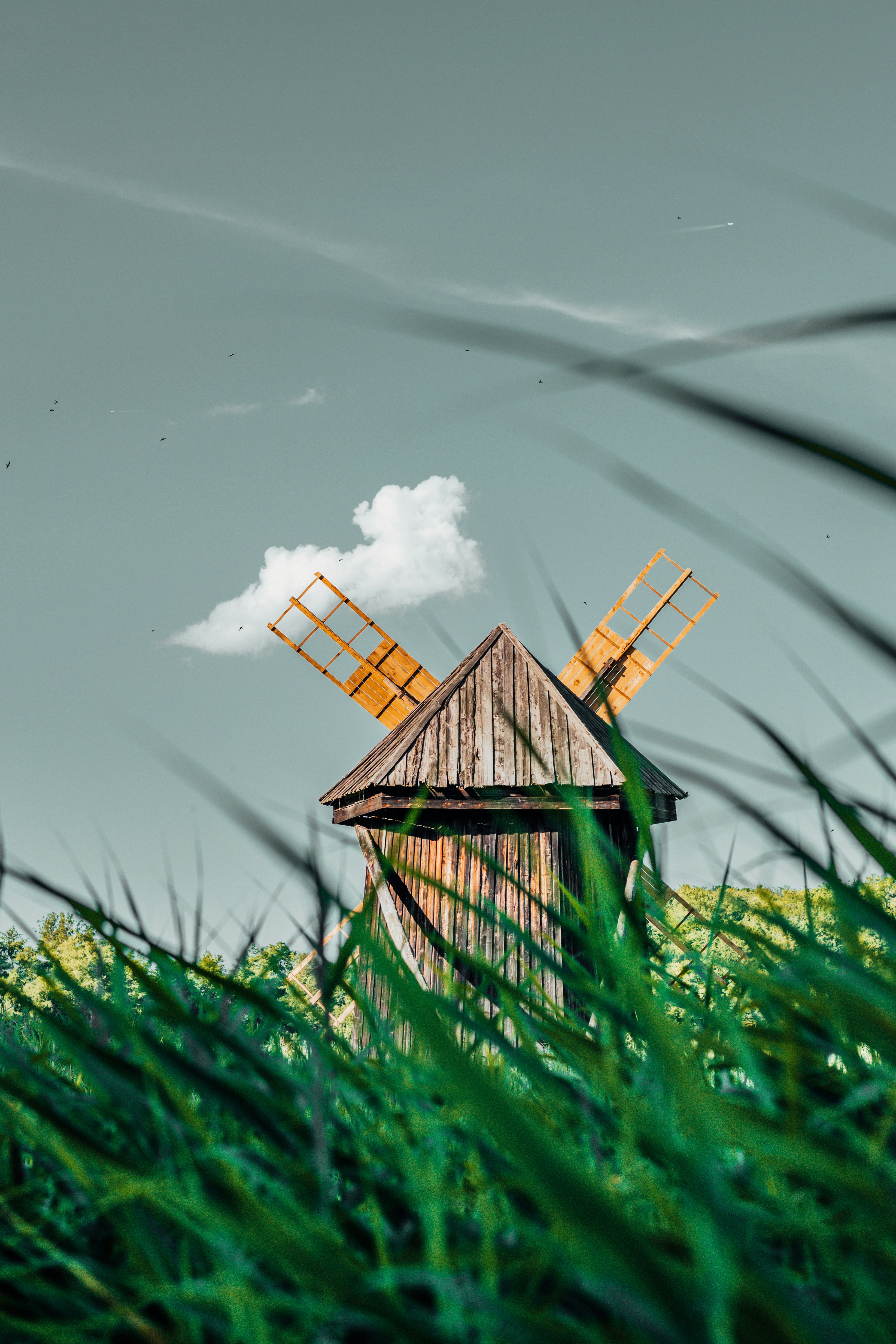 A rustic windmill stands tall amidst lush grass, framed by a serene sky with wispy clouds. The wooden structure showcases its historic charm.