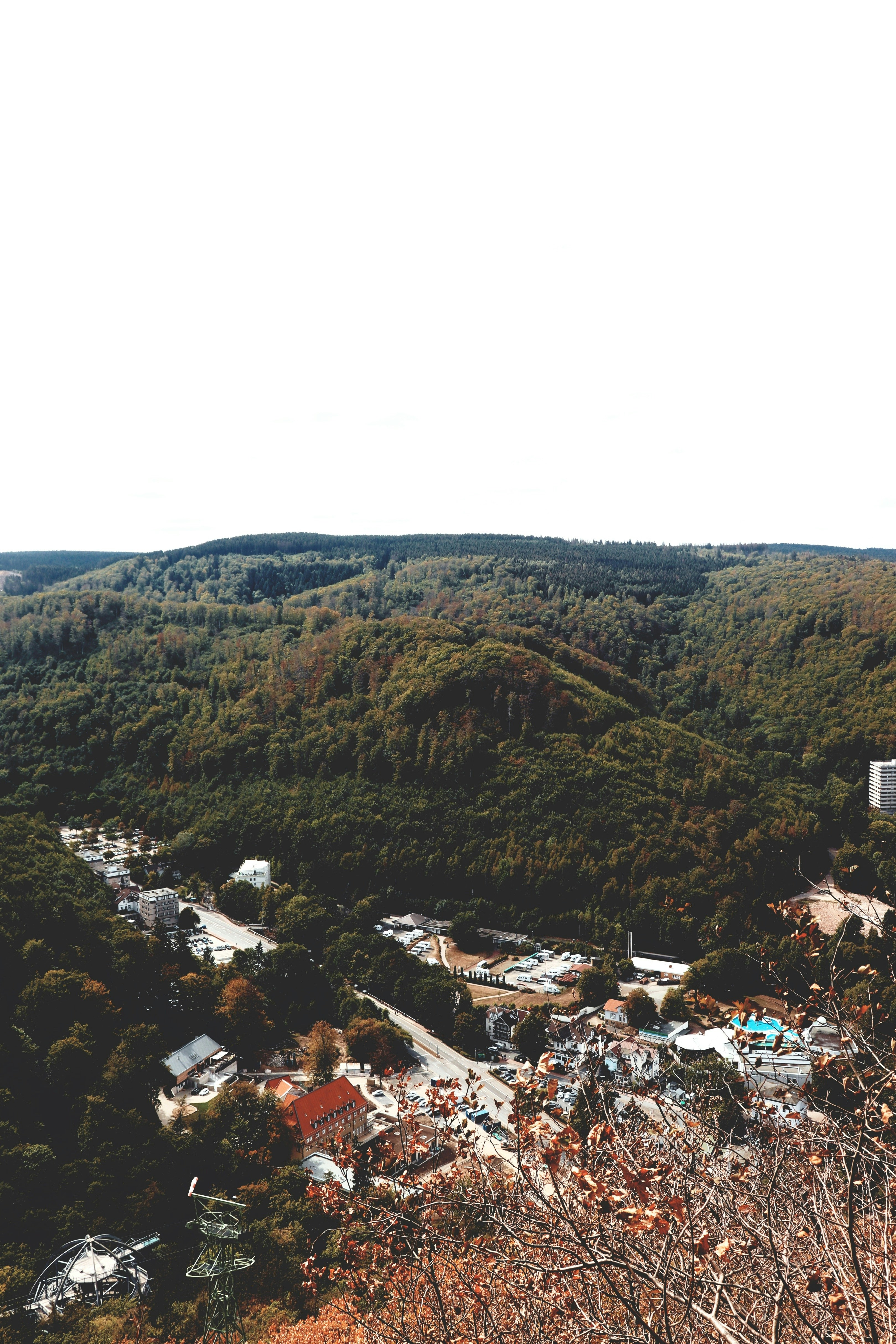 Valley Echoes: Cliffside Panorama of Autumn Pines and a Quiet Town