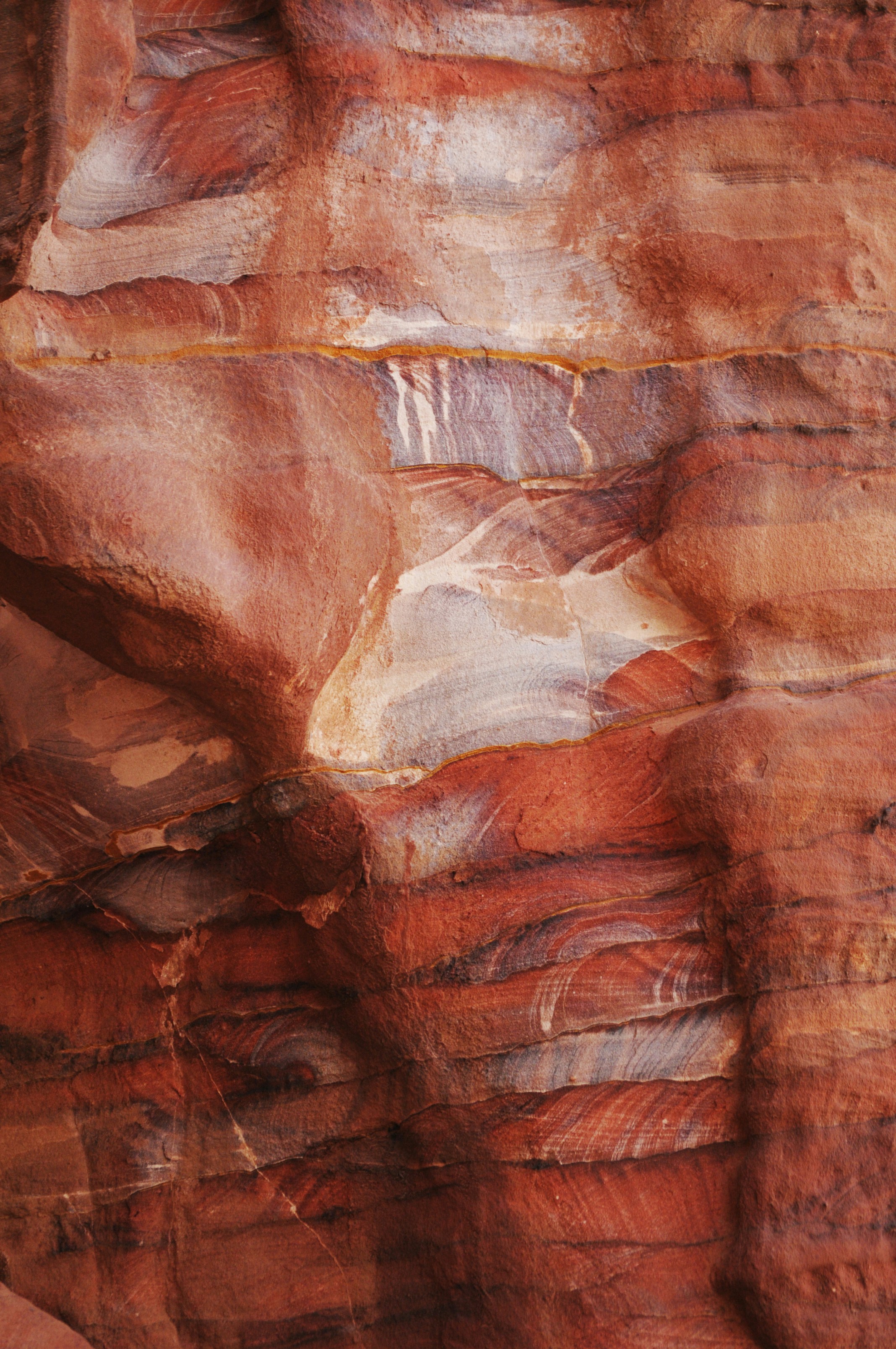Intricate layers of red and brown sandstone reveal the geological history of the landscape. The natural patterns create a stunning visual texture.