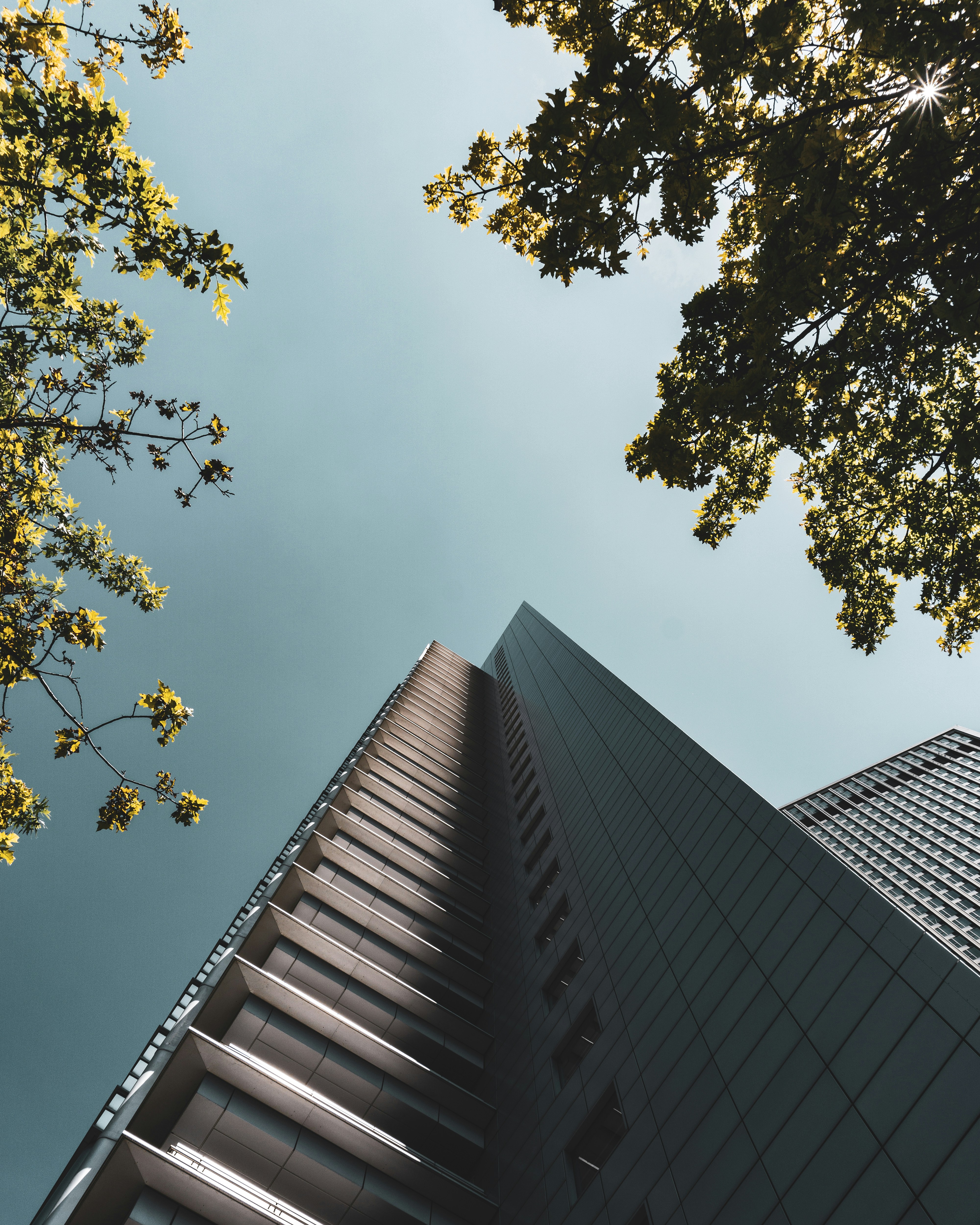 Looking up at a tall building from below photo – Free Building Image on ...