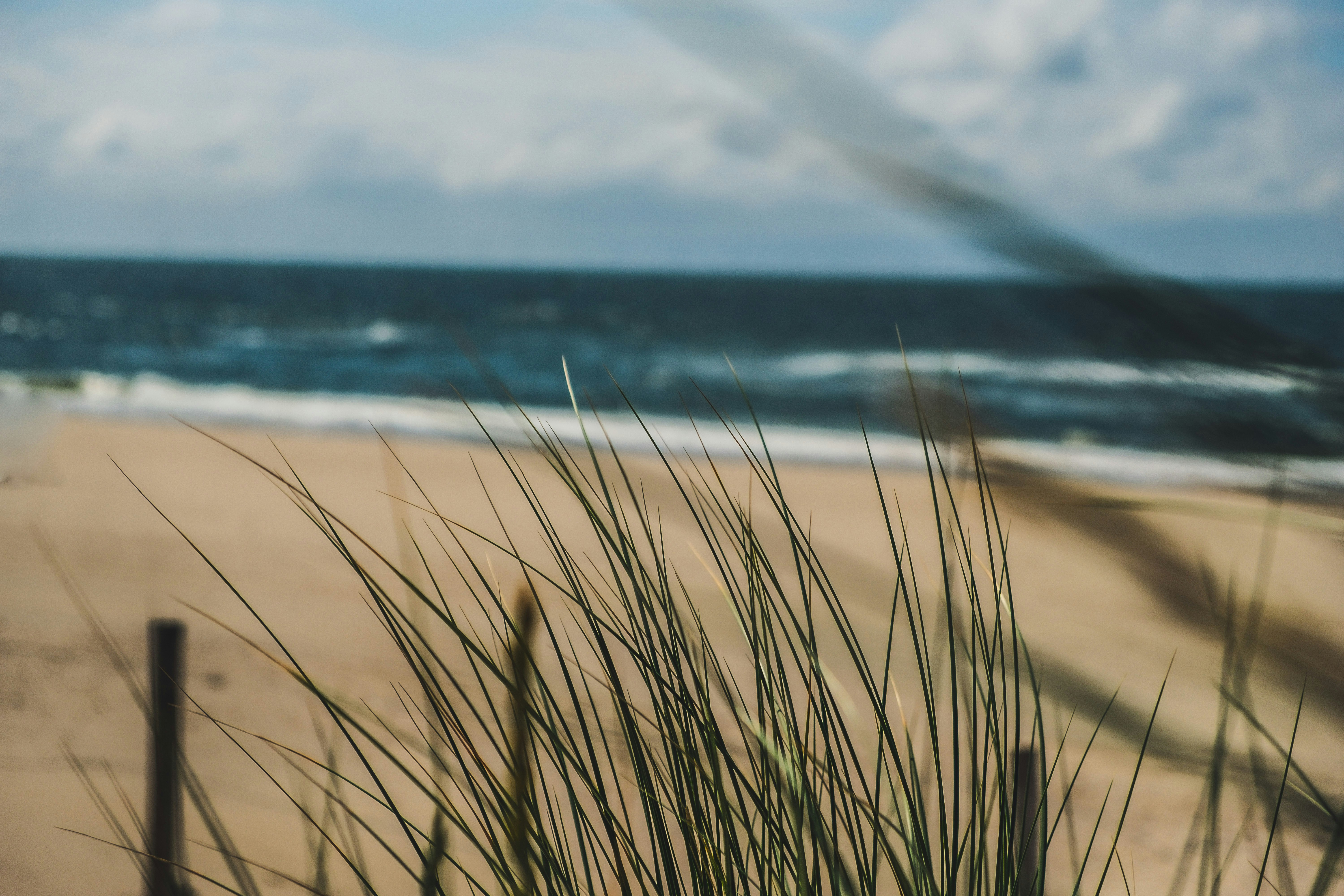 Delicate beach grass sways gently in the breeze, framing a serene coastal view under a cloudy sky.