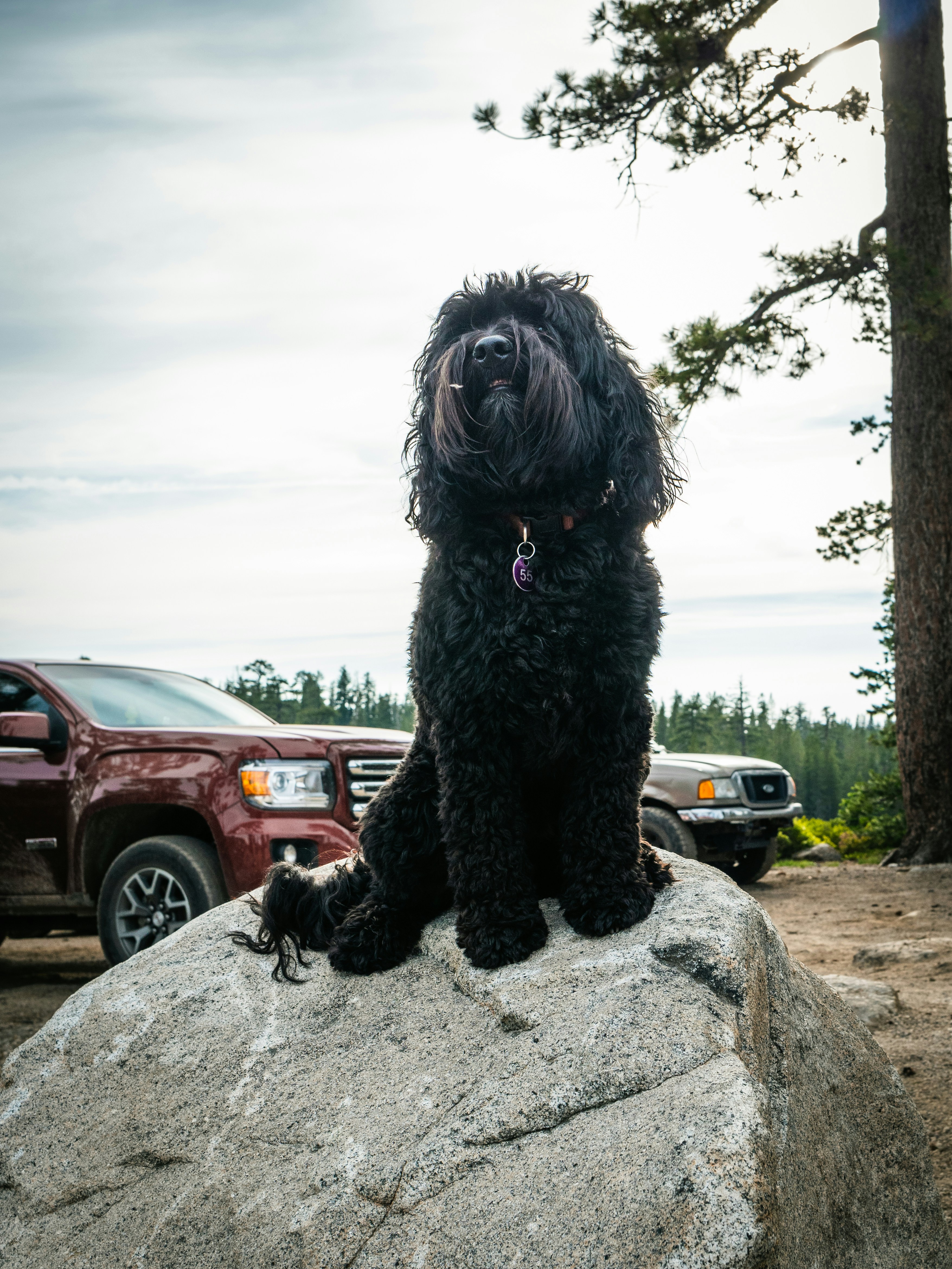 Imágenes de Pico Del Diablo Tahoe | Descarga imágenes gratuitas en Unsplash