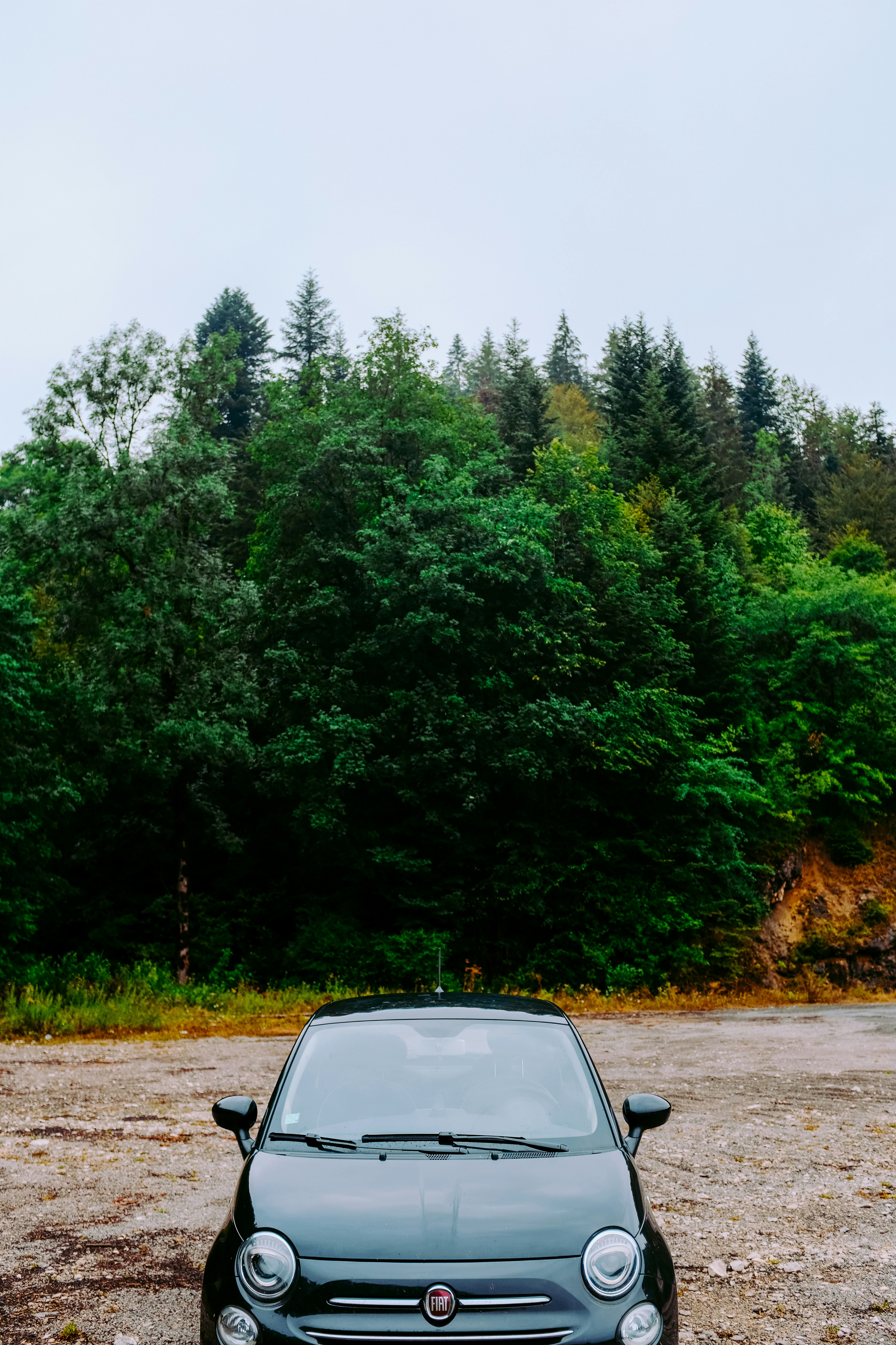 Fiat 500 at the Forest Edge on a Gravel Clearing