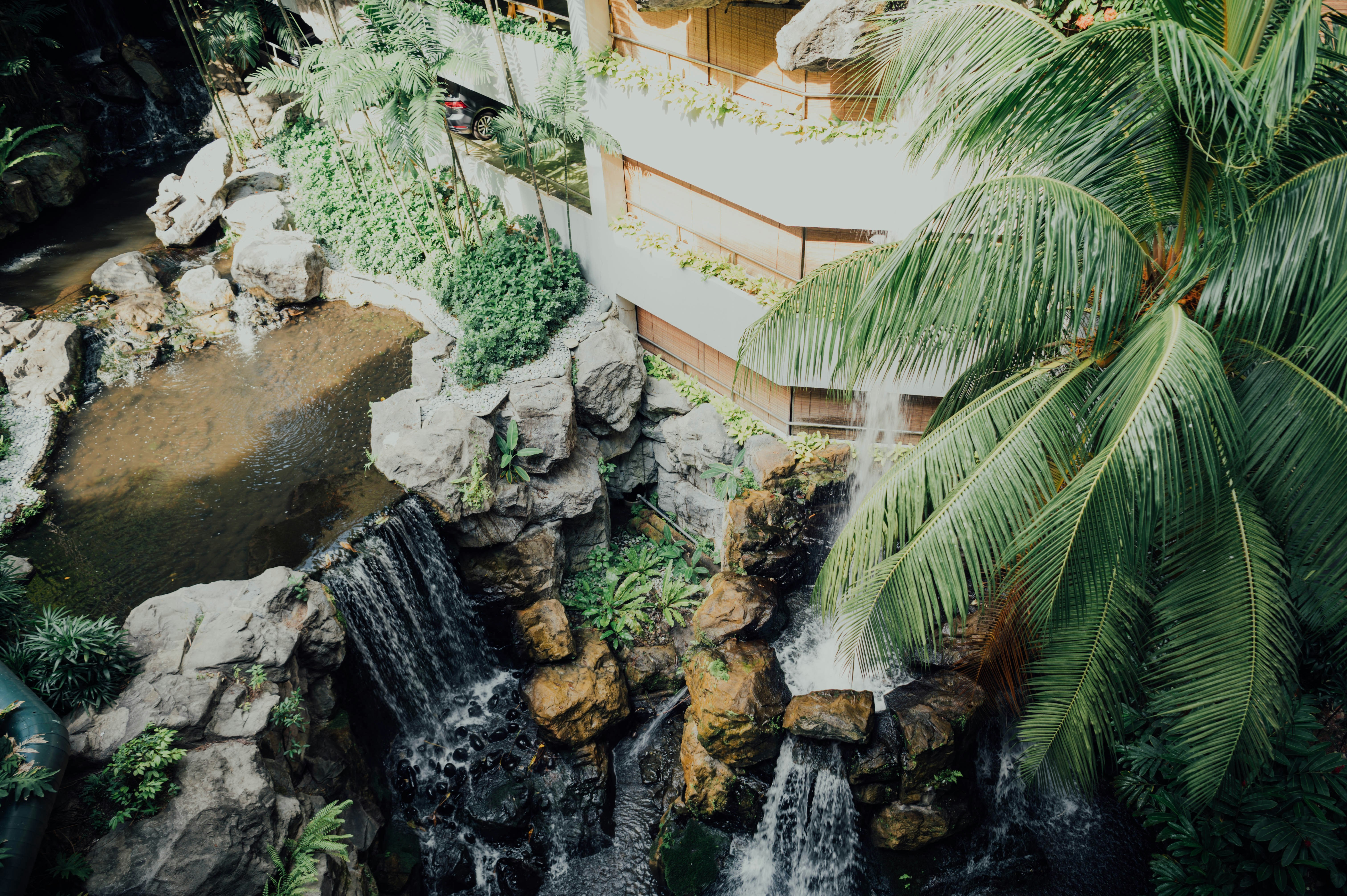 Indoor waterfall cascading over rocks surrounded by lush greenery and tropical plants.