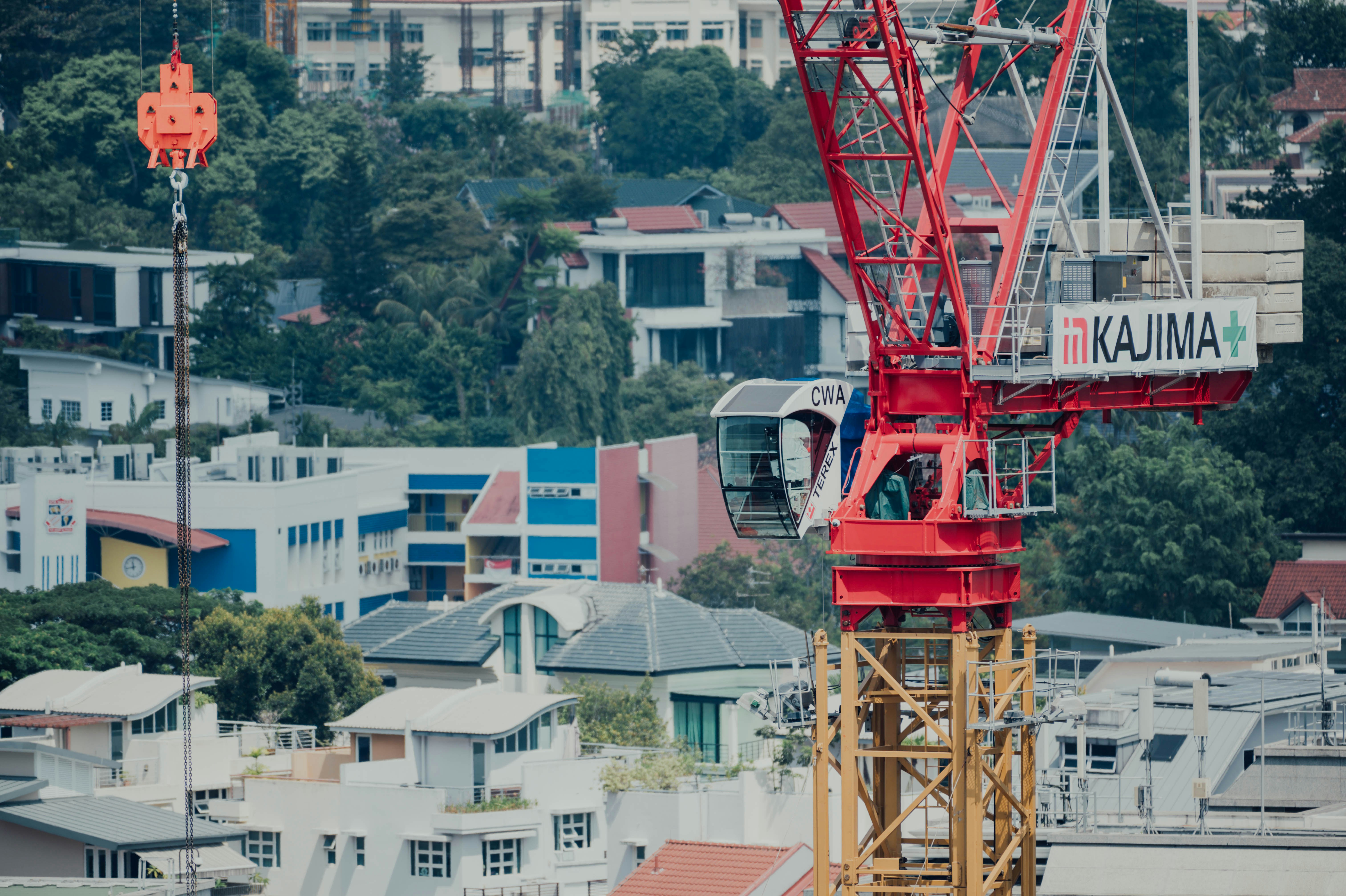 Crane Crown Over a Quiet Urban Mosaic