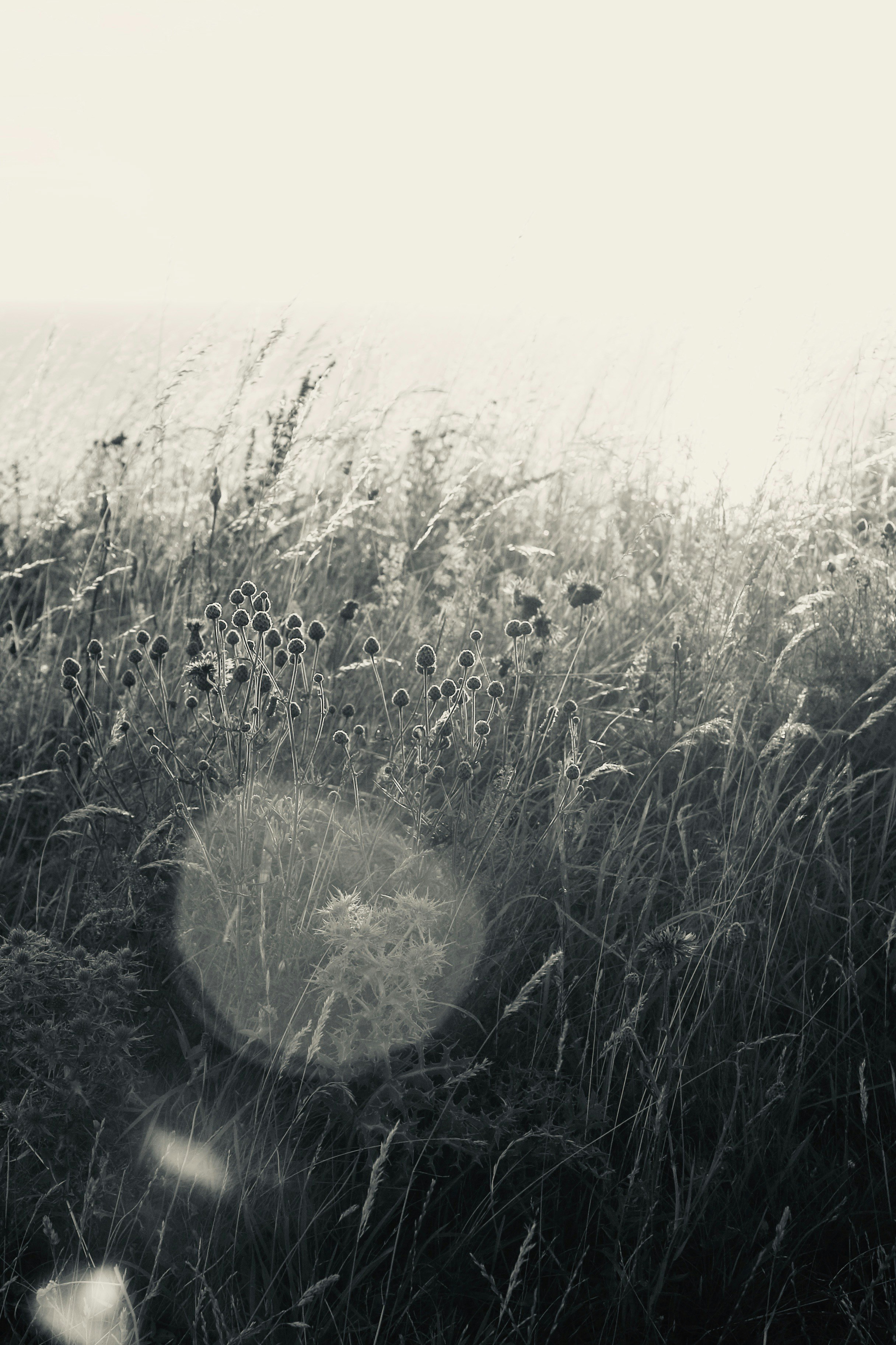 Xavier Senente (@xsenente) | Unsplash 사진 커뮤니티